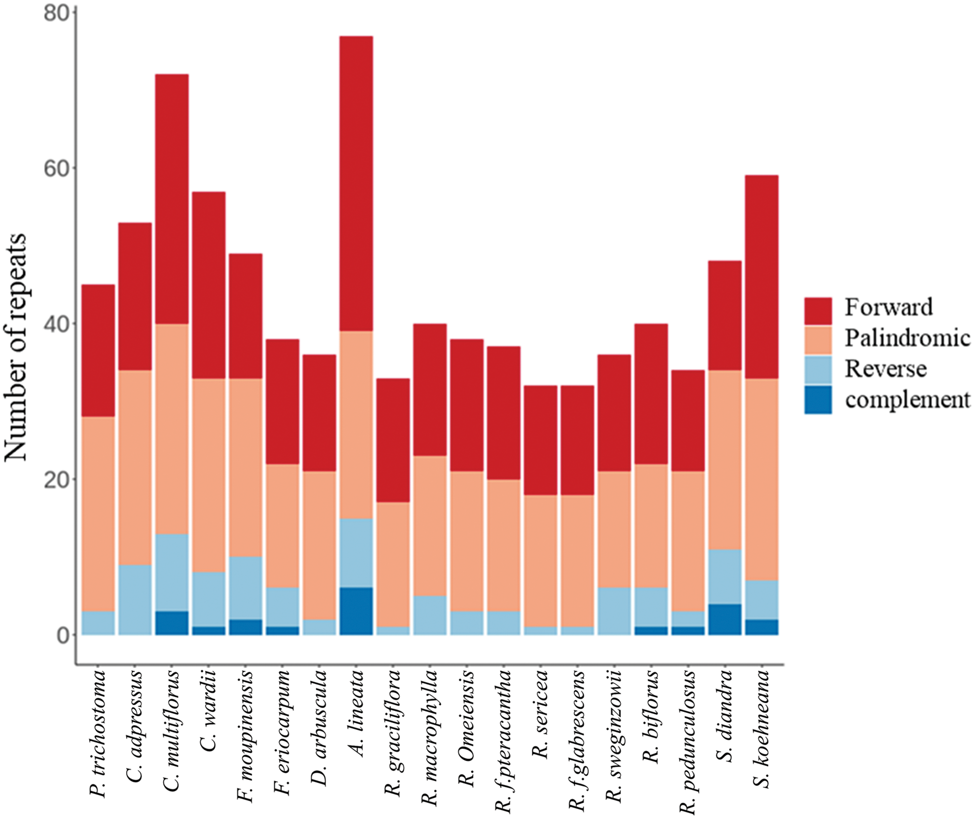 Phyton Free Full Text Comparative And Phylogenetic Analysis Of The