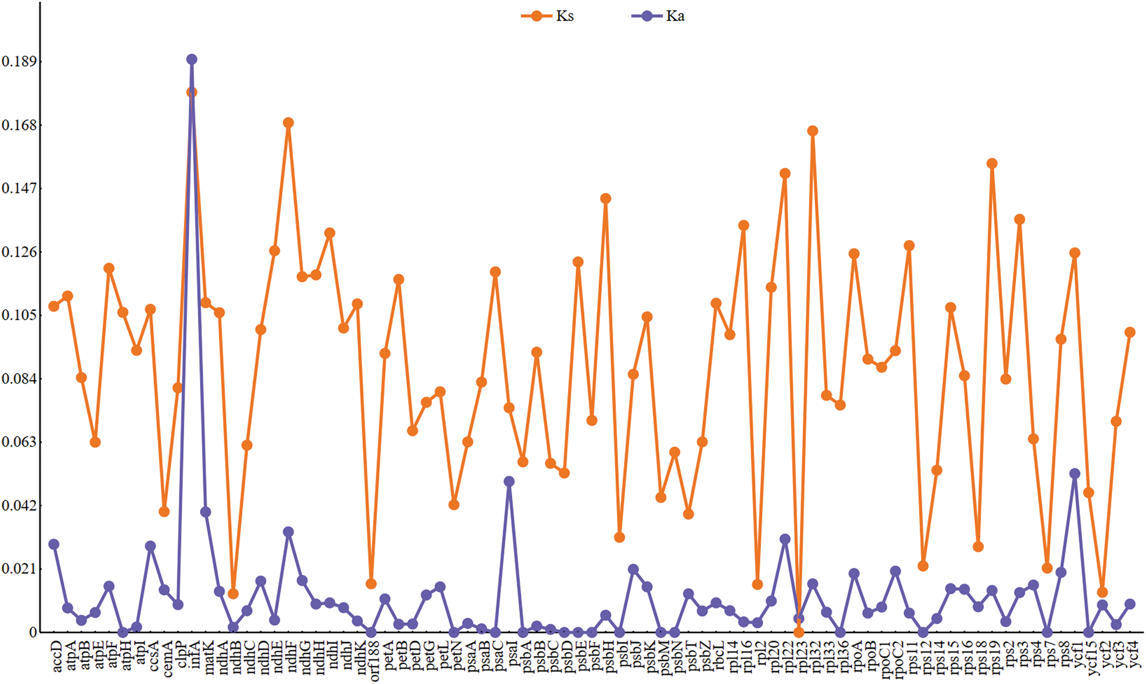 Phyton Free Full Text Comparative And Phylogenetic Analysis Of The