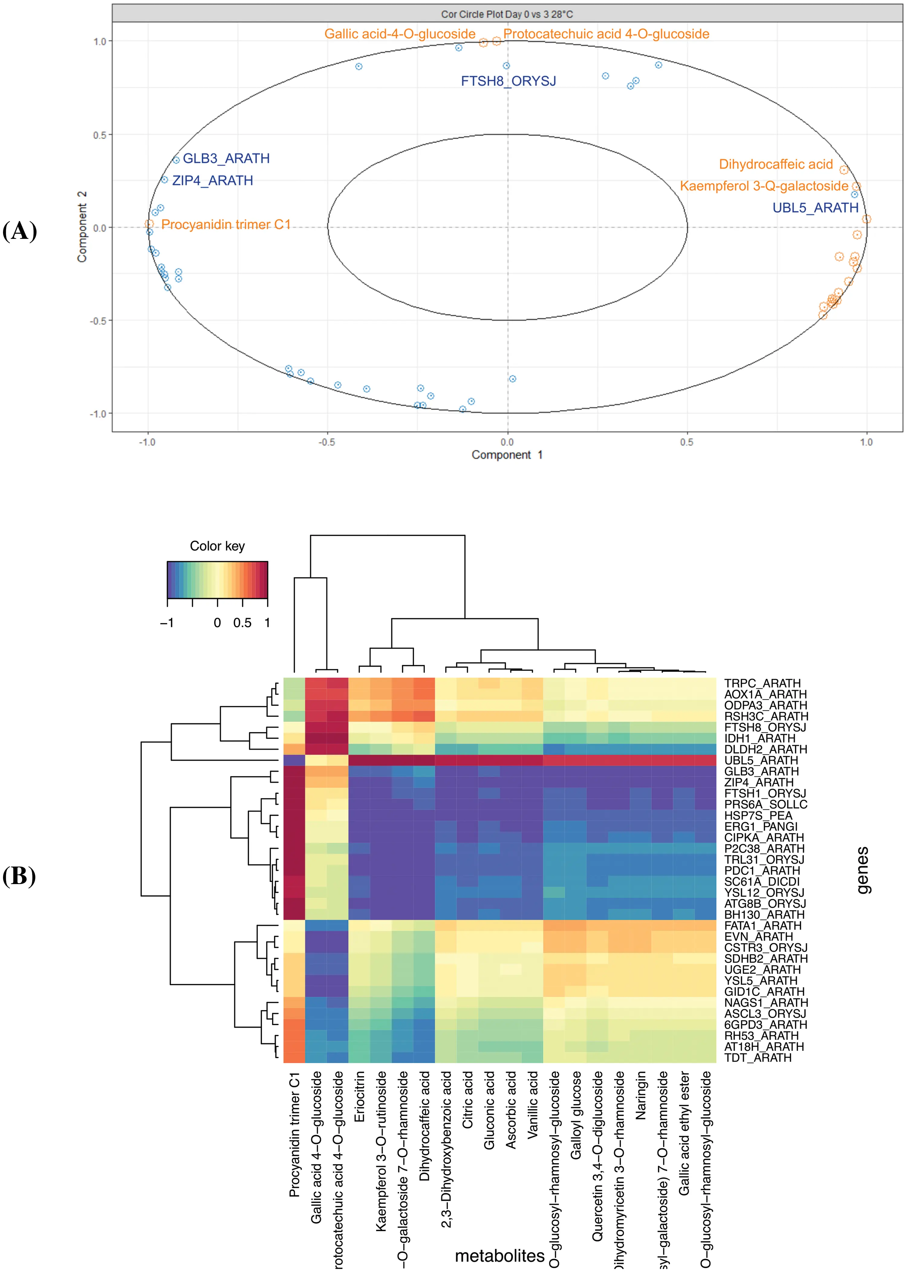 Phyton Free Full Text Integrative Analysis Of Transcriptome And