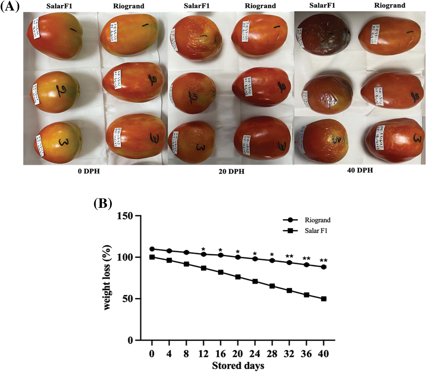 PHYTON | Free Full-Text | Comparative Transcriptomic Analysis of Two ...