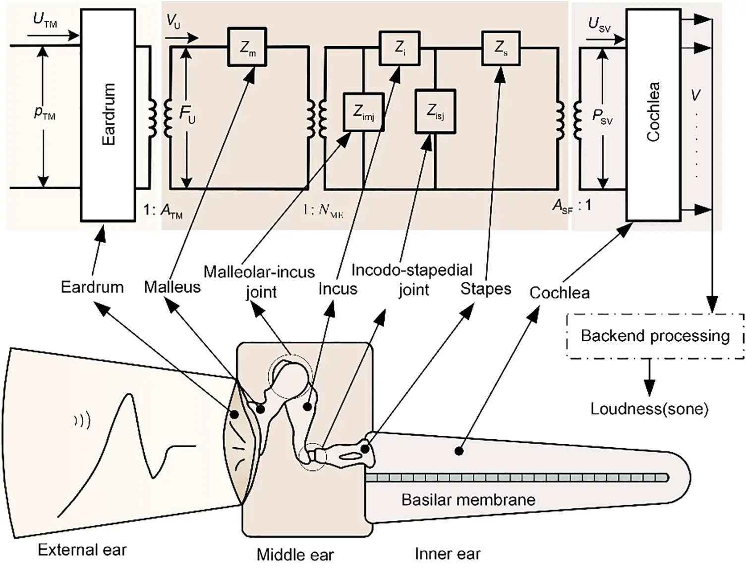 SV | Free Full-Text | A Sound Quality Evaluation Method for Vehicle ...