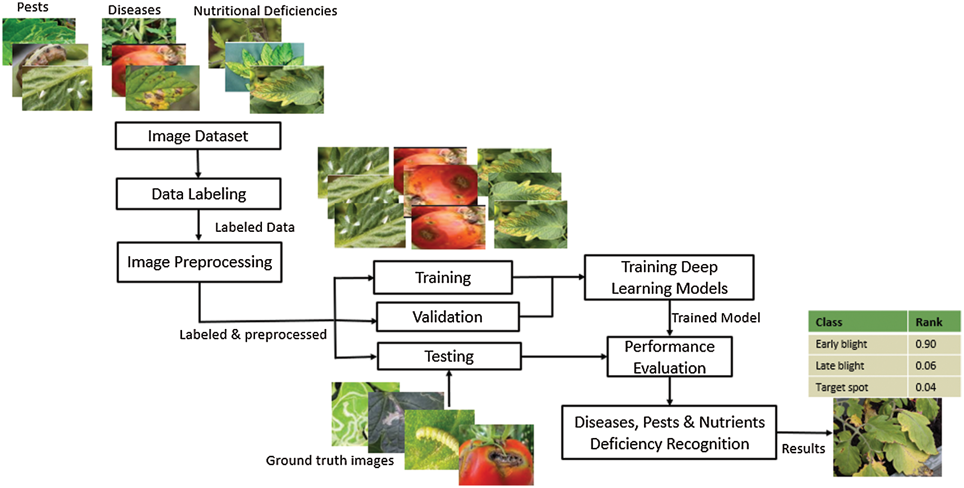 Image-Based Automatic Diagnostic System for Tomato Plants Using Deep ...