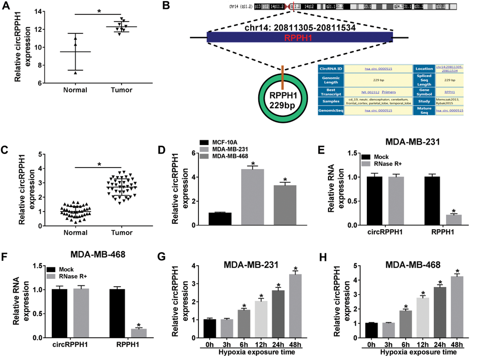 Hypoxia-associated circular RNA RPPH1 modulates triple-negative breast ...