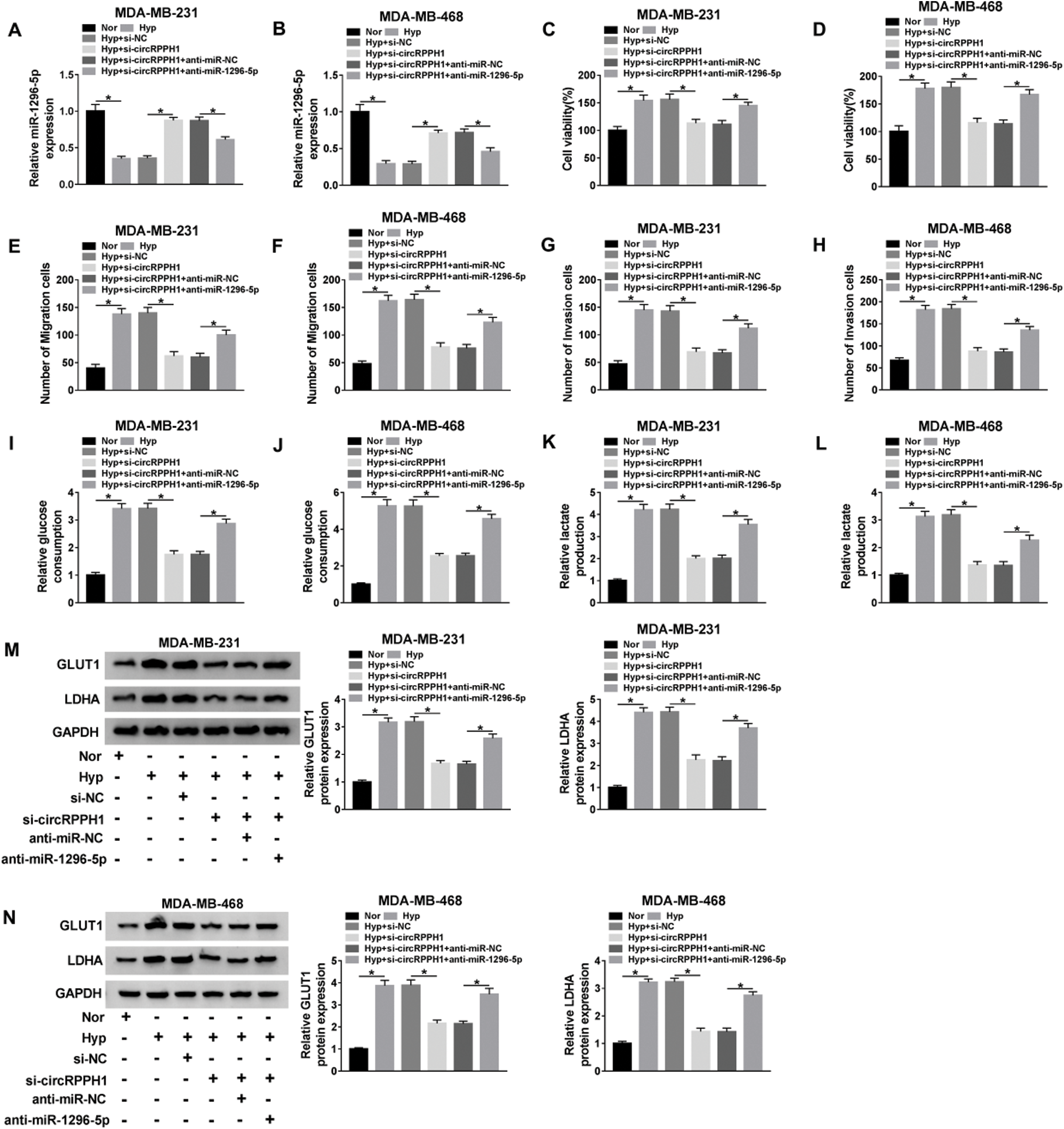 Hypoxia-associated circular RNA RPPH1 modulates triple-negative breast ...