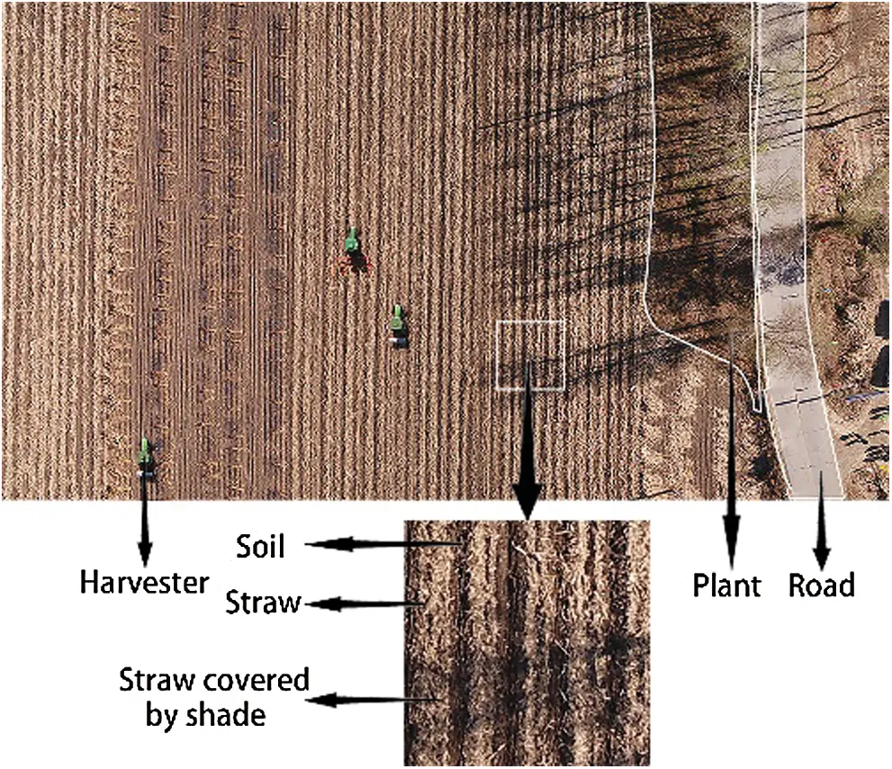 Straw Segmentation Algorithm Based on Modified UNet in Complex Farmland ...