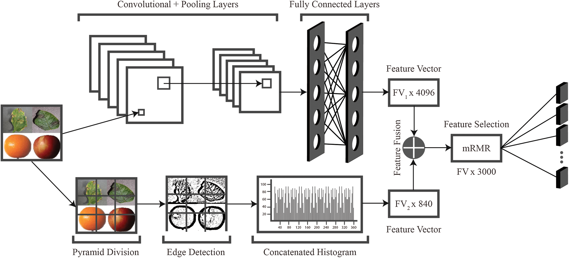 Deep Learning-Based Classification of Fruit Diseases: An Application ...