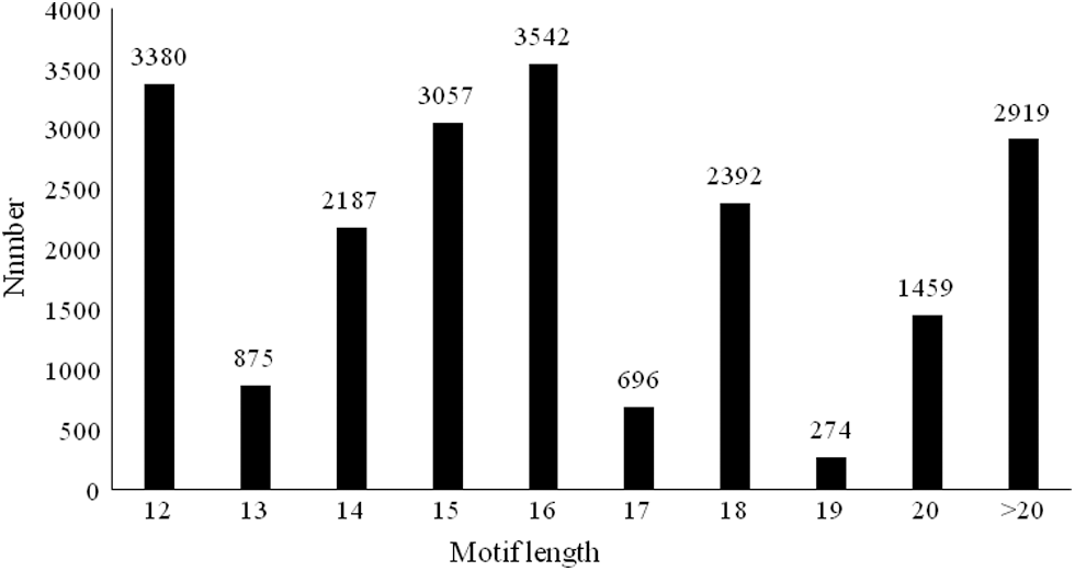 Development of polymorphic SSR markers and their applicability in ...