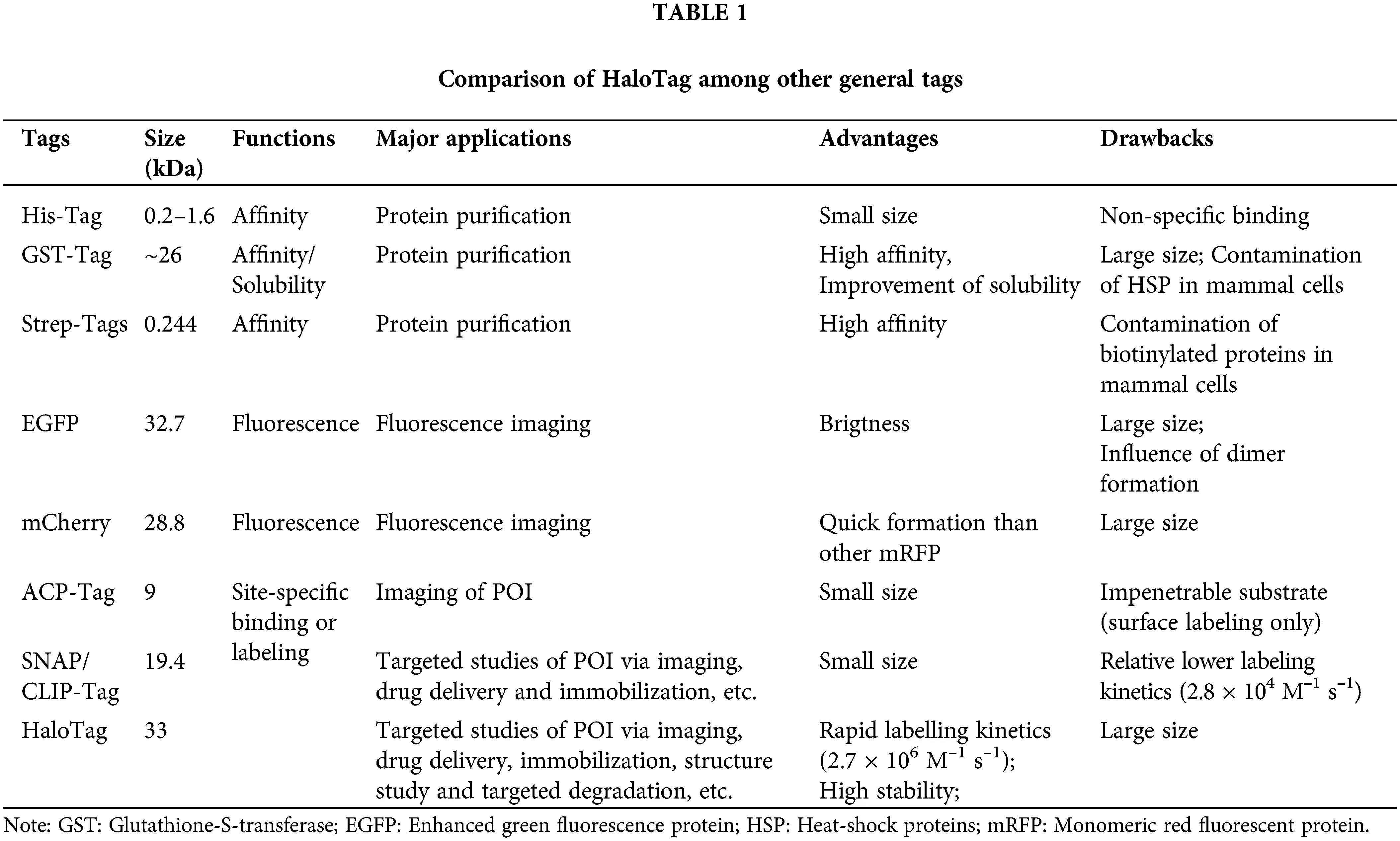 Recent biomedical advances enabled by HaloTag technology