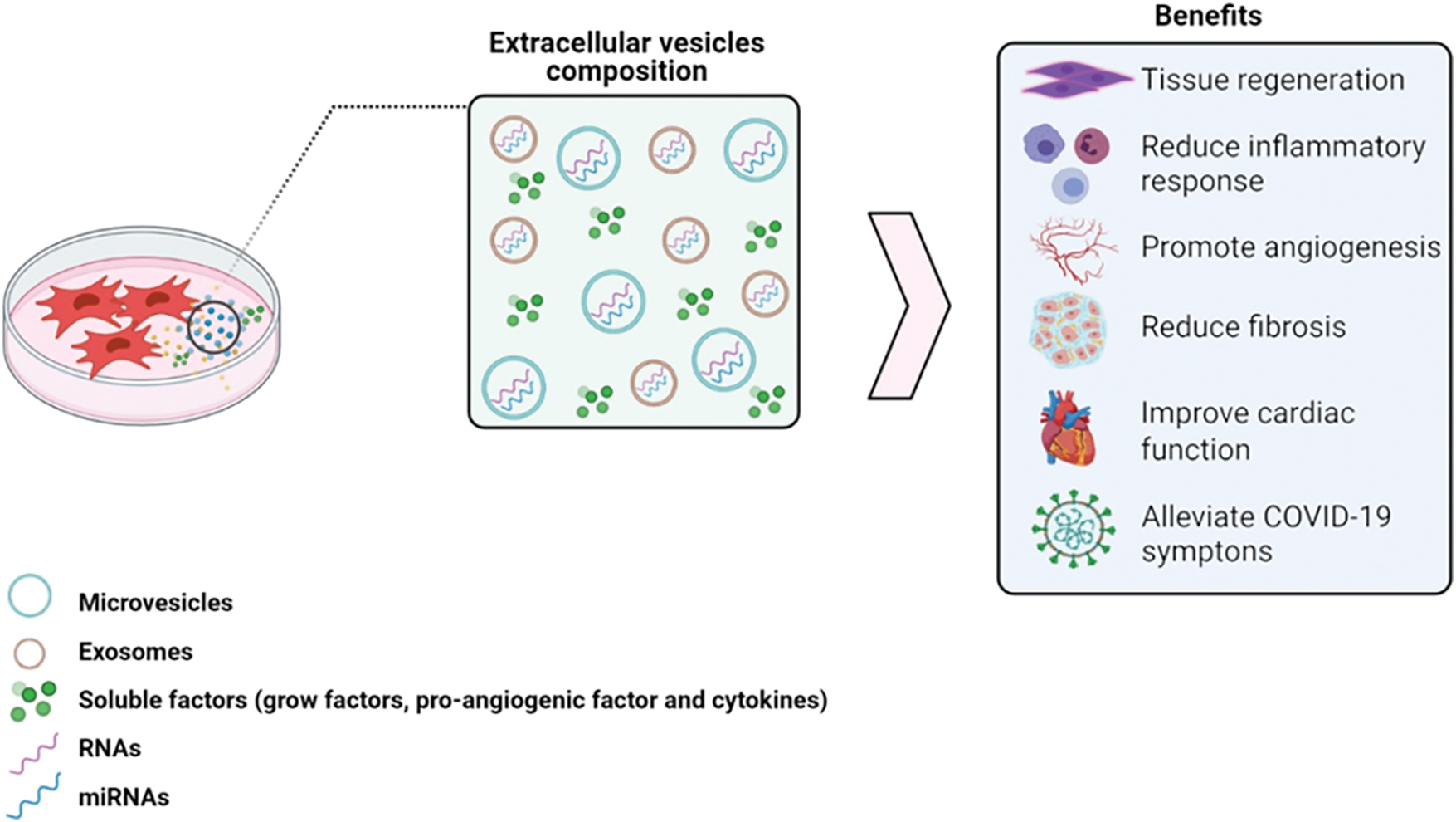 Mesenchymal stem cell secretome and nanotechnology: Combining ...