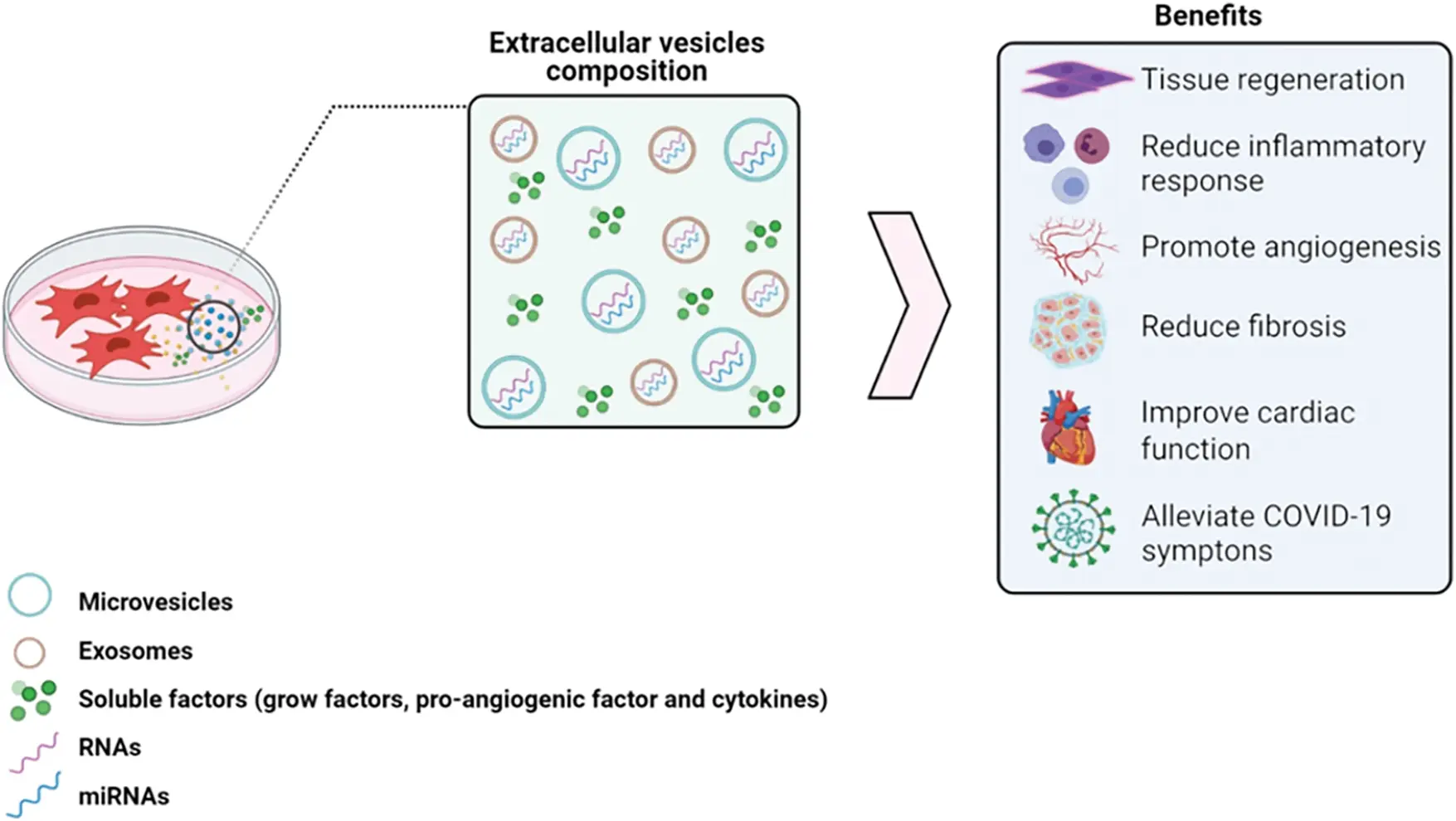 Mesenchymal stem cell secretome and nanotechnology: Combining ...