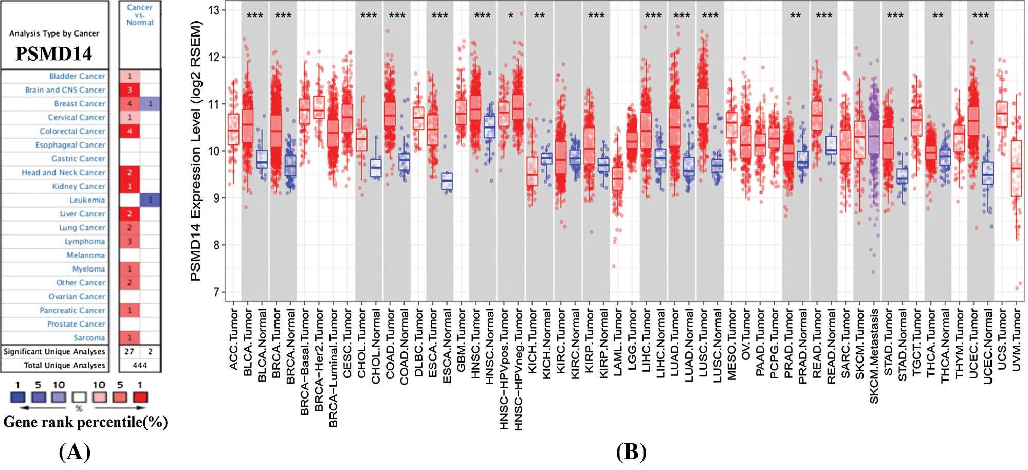Immune prognostic implications of PSMD14 and its associated genes ...
