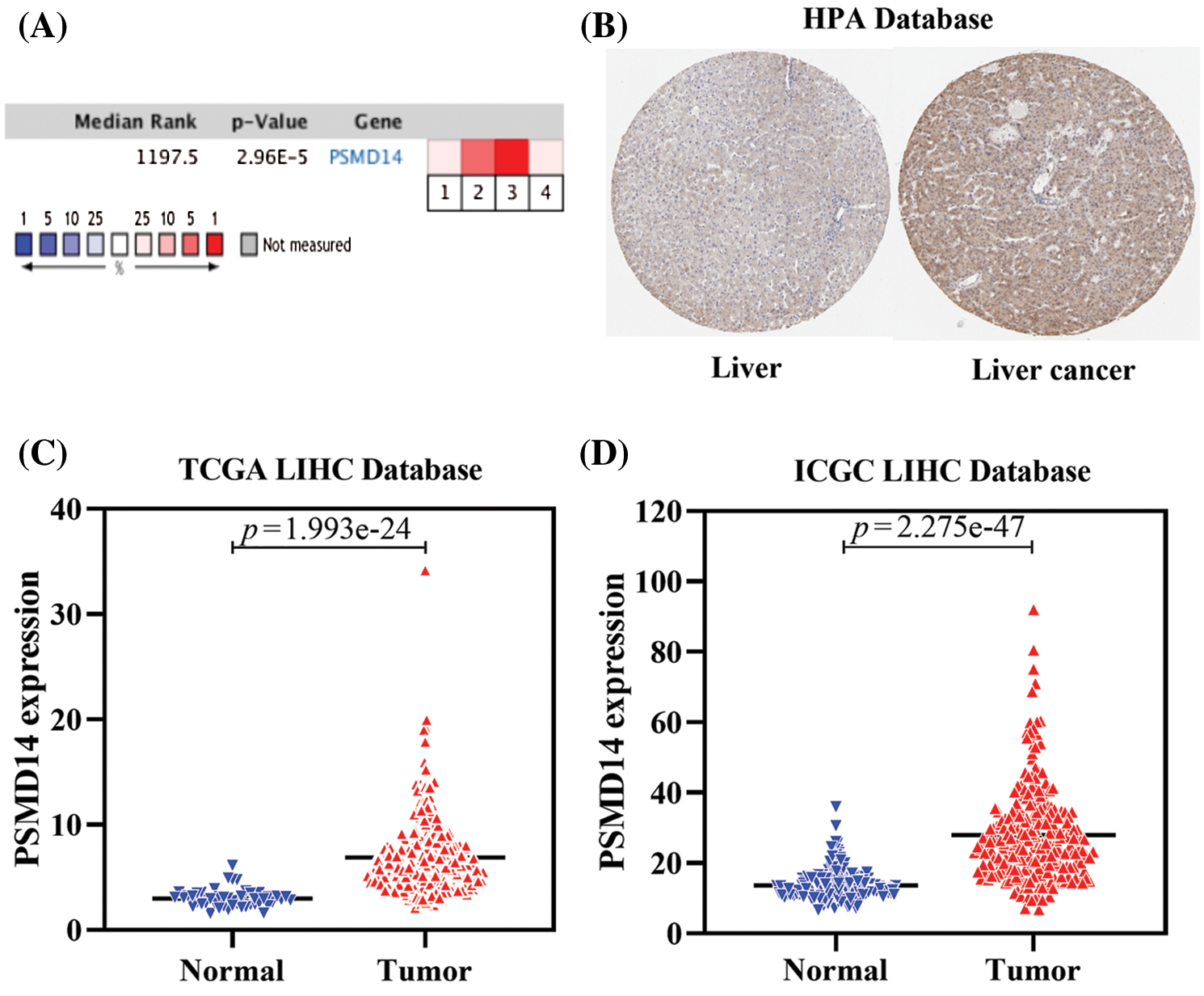 Immune prognostic implications of PSMD14 and its associated genes ...