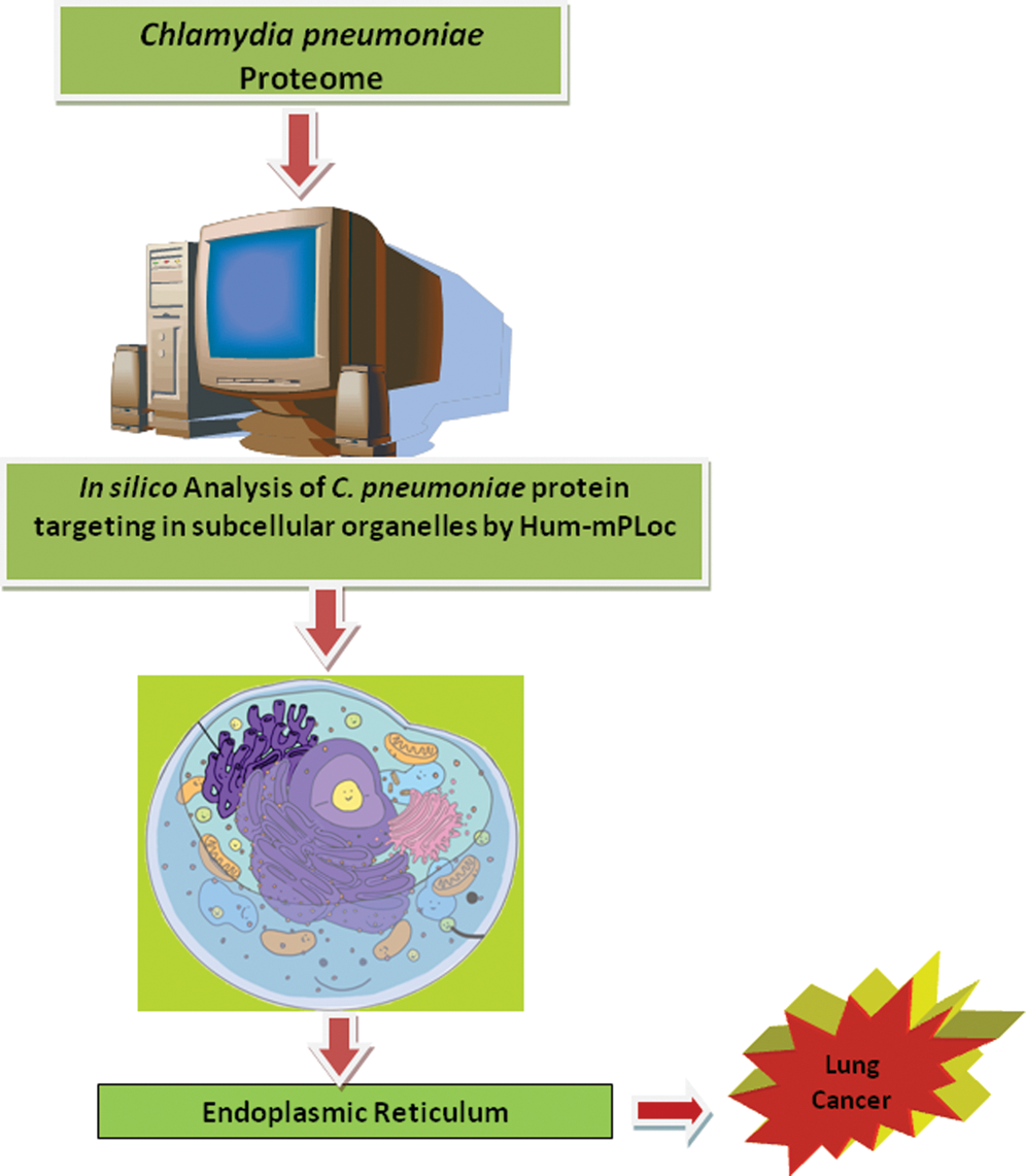 Proteome-wide screening for the analysis of protein targeting of Chlamydia pneumoniae in ...