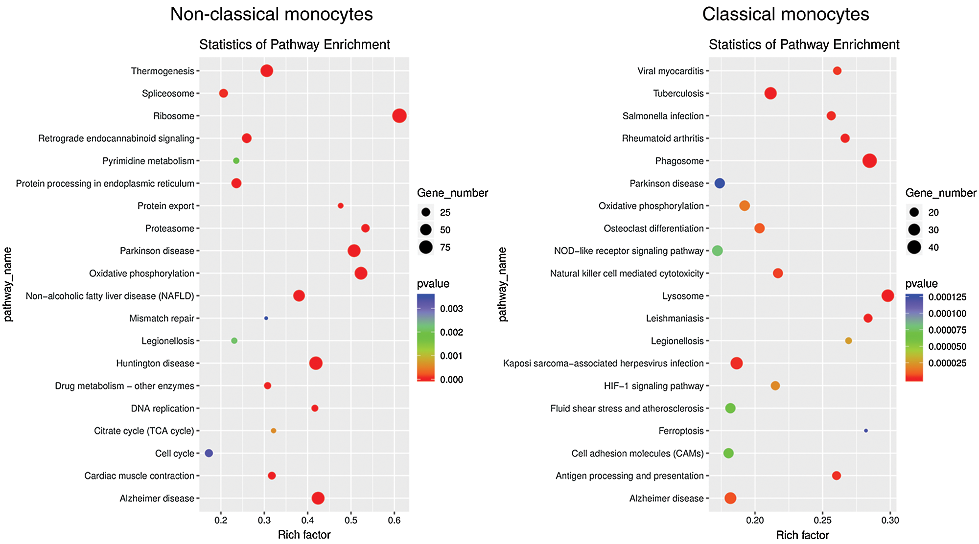 Single-cell RNA sequencing reveals classical monocytes are the major ...