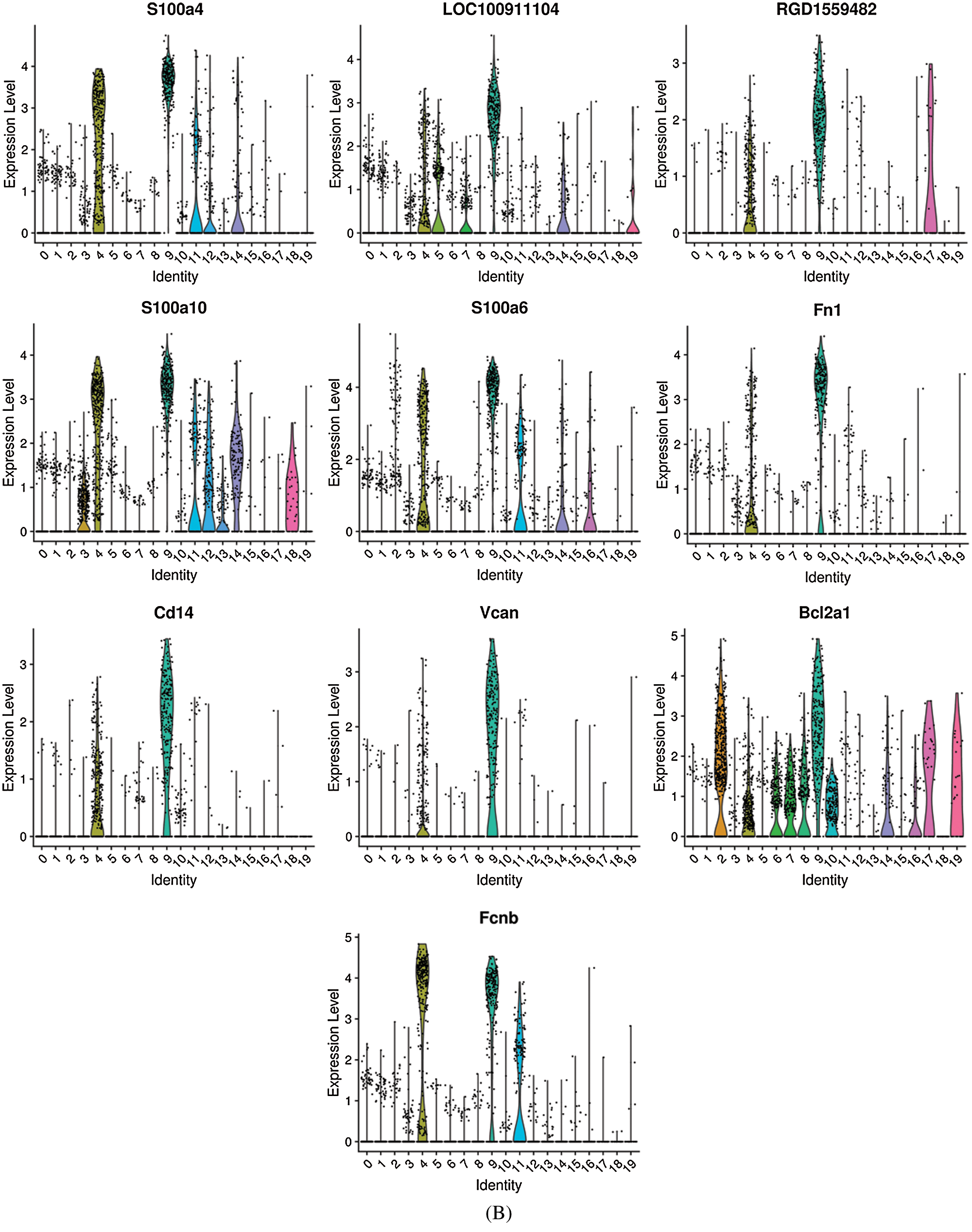 Single-cell RNA sequencing reveals classical monocytes are the major ...