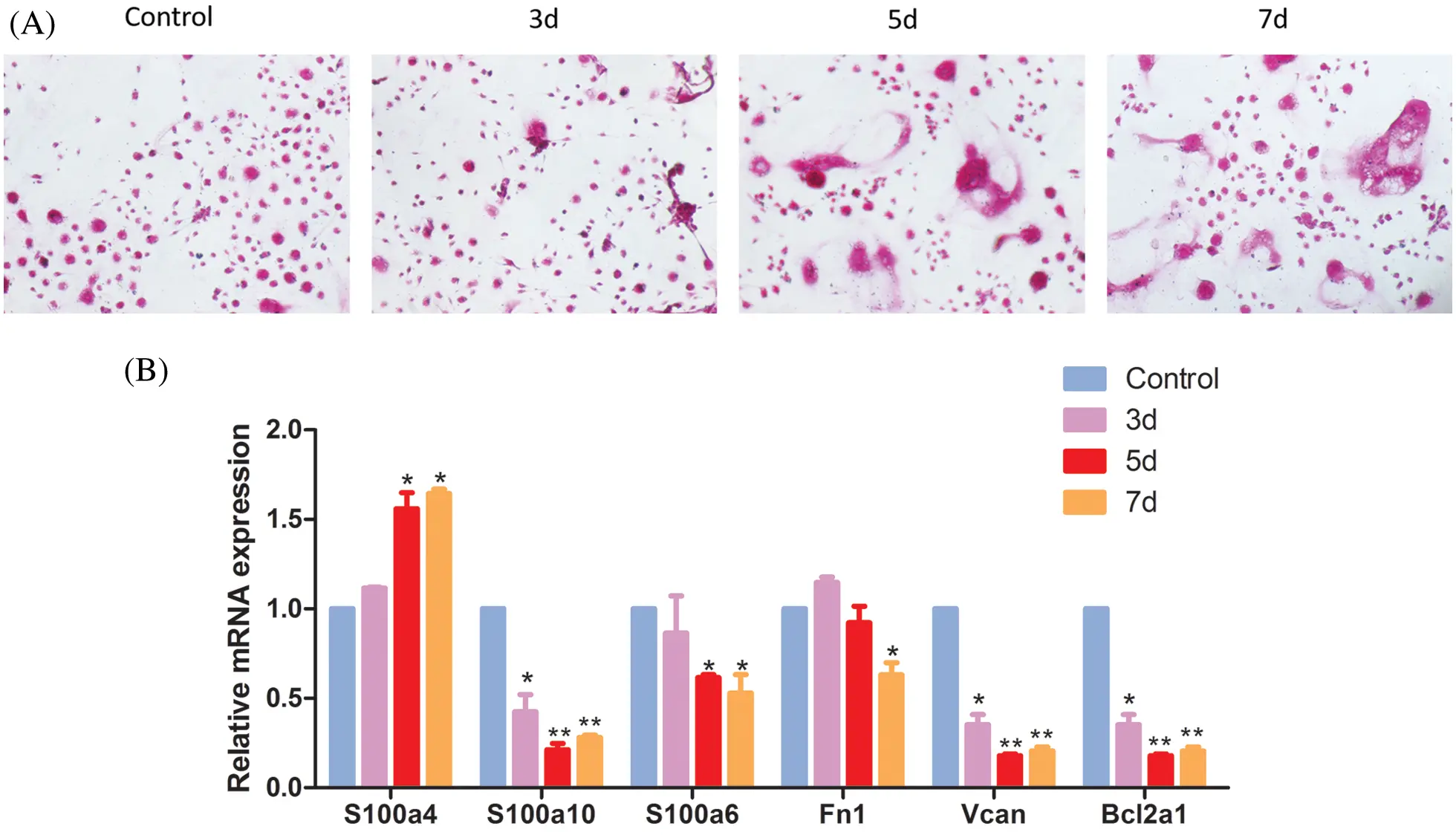 Single-cell RNA sequencing reveals classical monocytes are the major ...