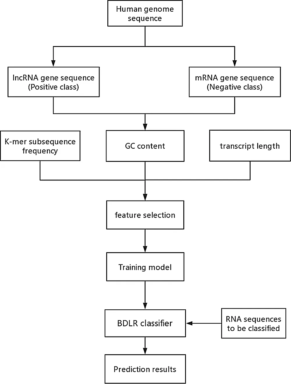 BDLR: lncRNA identification using ensemble learning