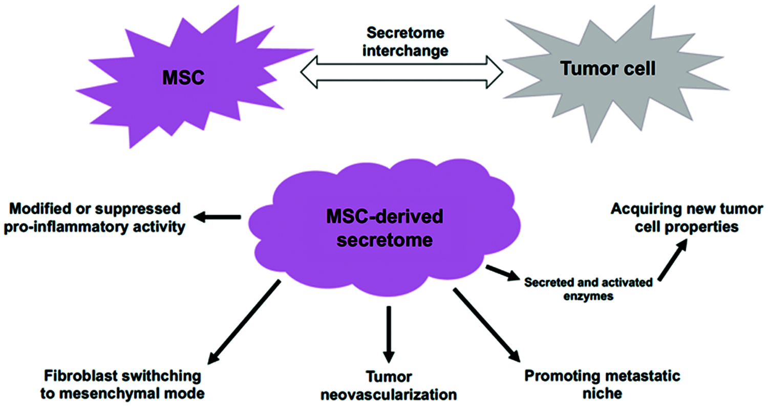 Controversies in therapeutic application of mesenchymal stem cell ...