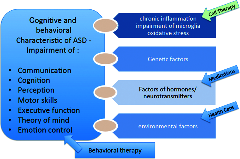 Future perspectives on cell therapy for autism spectrum disorder