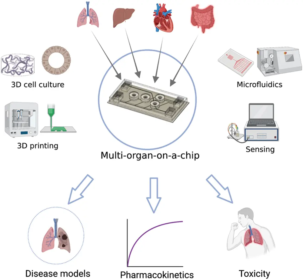 From organ-on-a-chip towards body-on-a-chip