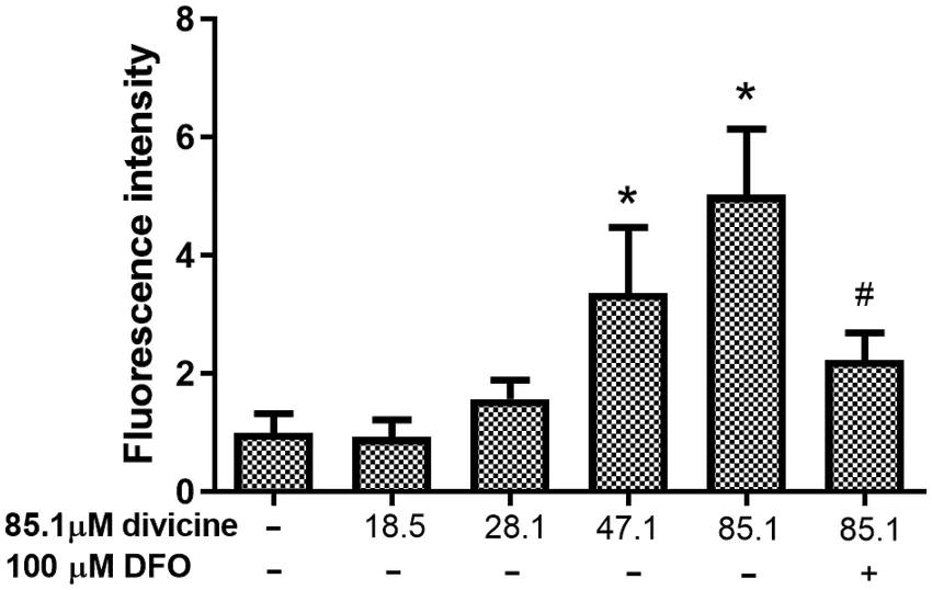 Divicine induces endothelial cells injury and its potential mechanism