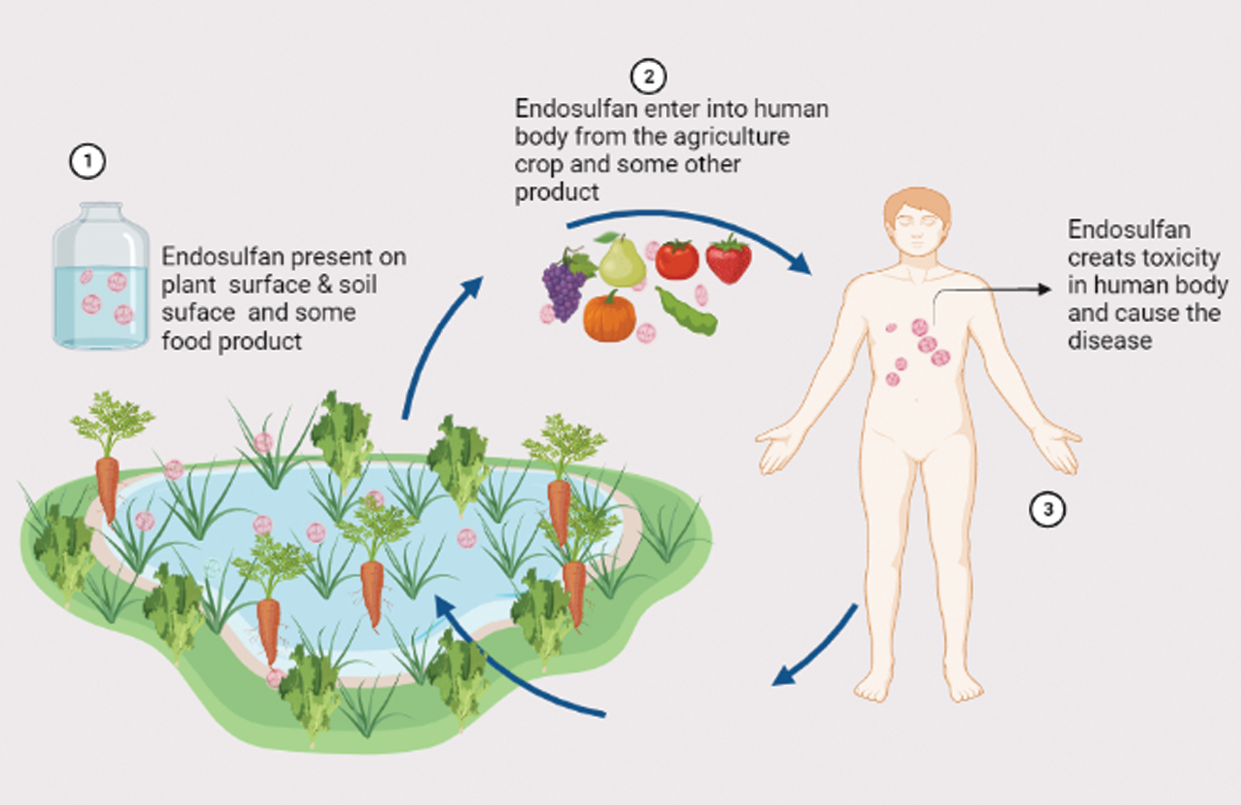 Biomonitoring of endosulfan toxicity in human