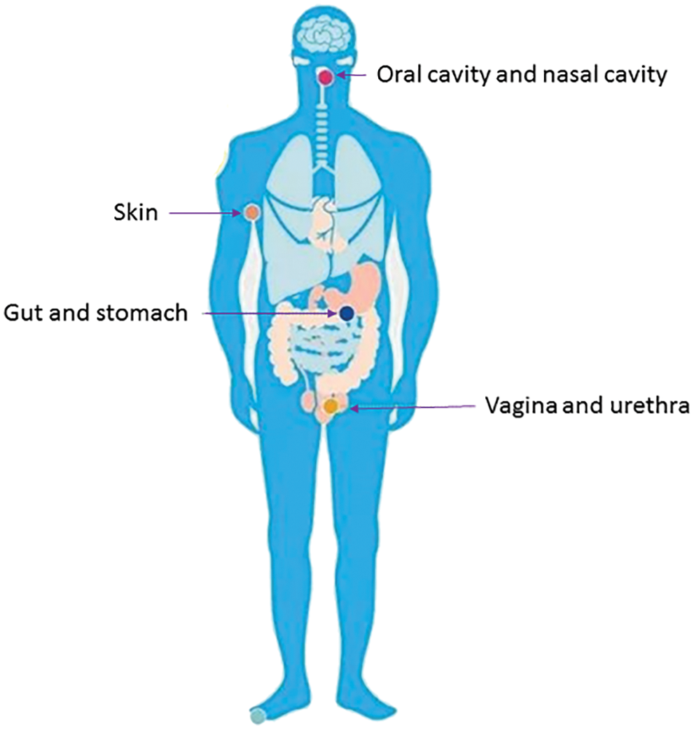 BIOCELL | Free Full-Text | Review on microbial metabolomics of ...