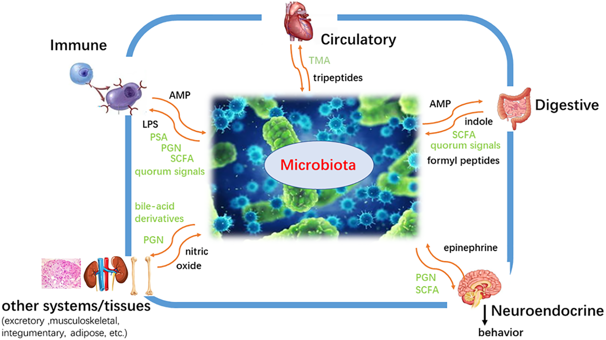 BIOCELL | Free Full-Text | Review on microbial metabolomics of ...