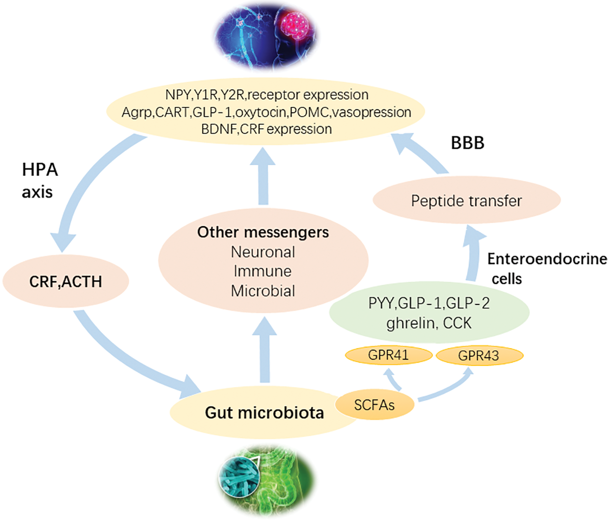 BIOCELL | Free Full-Text | Review on microbial metabolomics of ...