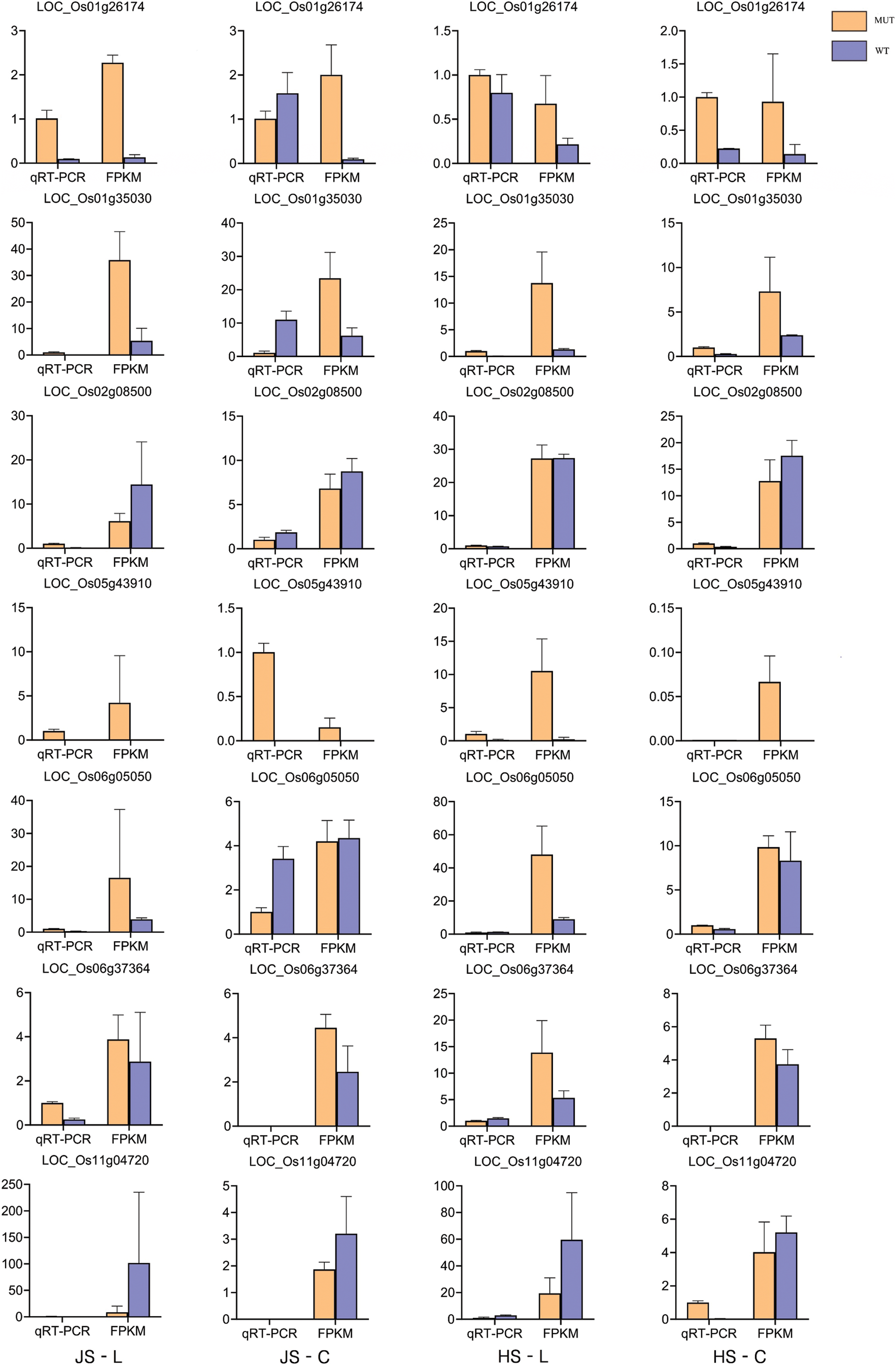 Biocell Free Full Text Transcriptome Analysis Reveals Potential