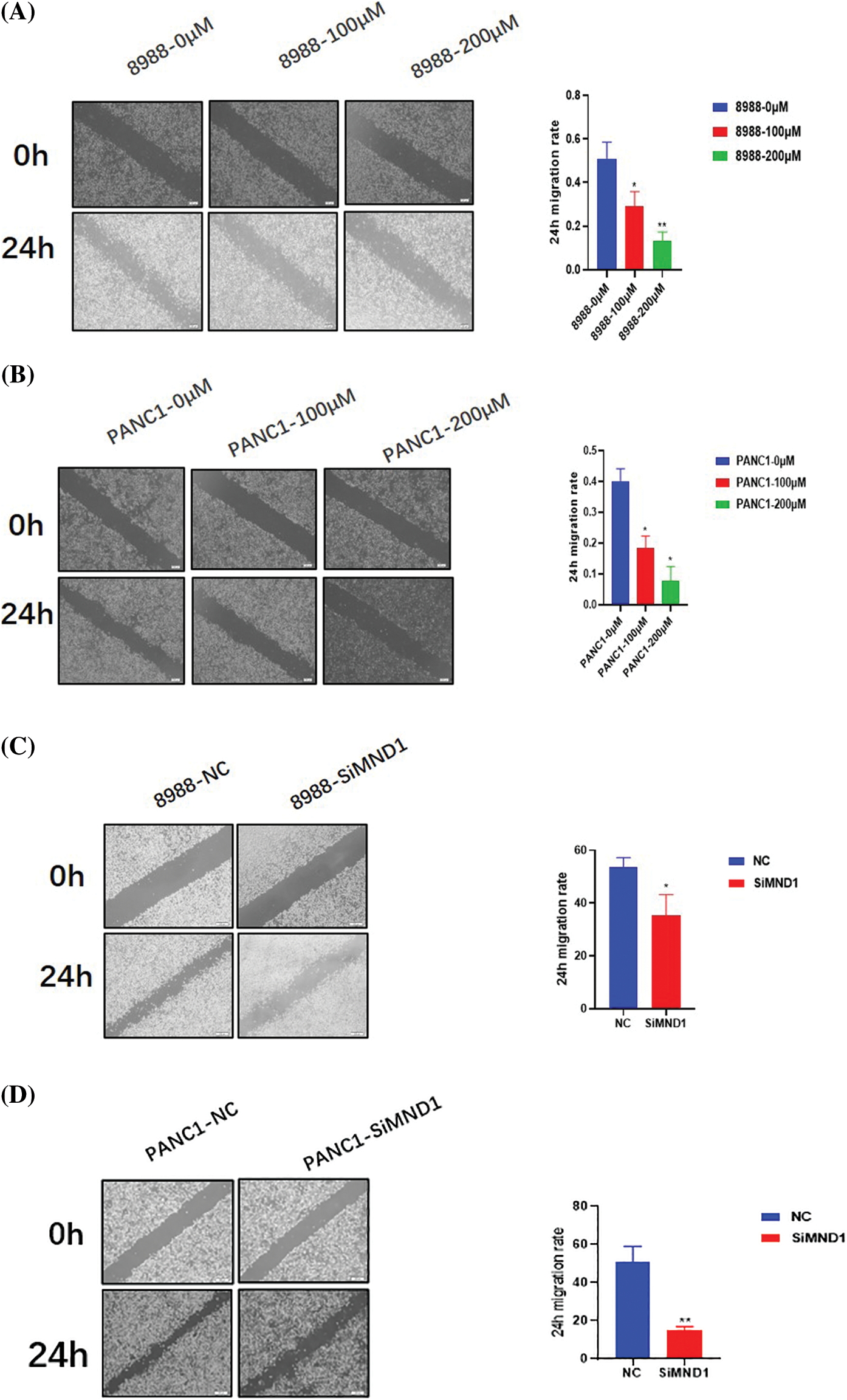 BIOCELL | Free Full-Text | Columbianetin acetate inhibits the ...