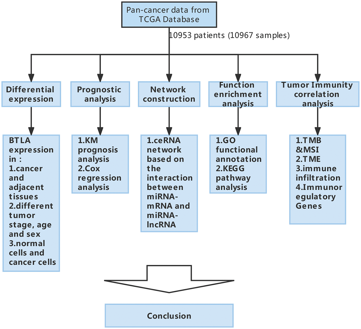 BIOCELL | Free Full-Text | A pan-cancer analysis of the biological ...