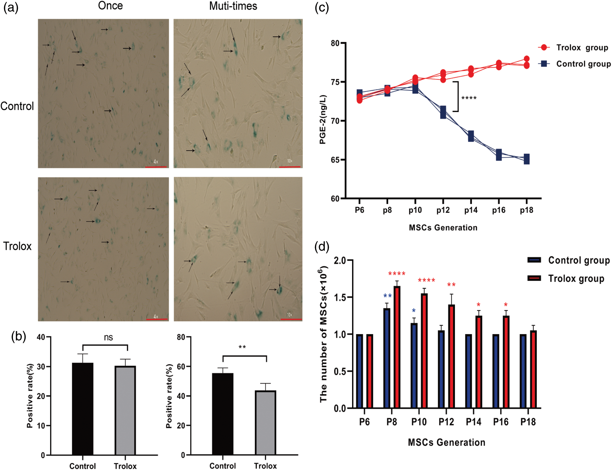 BIOCELL | Free Full-Text | The antioxidant trolox inhibits aging and ...