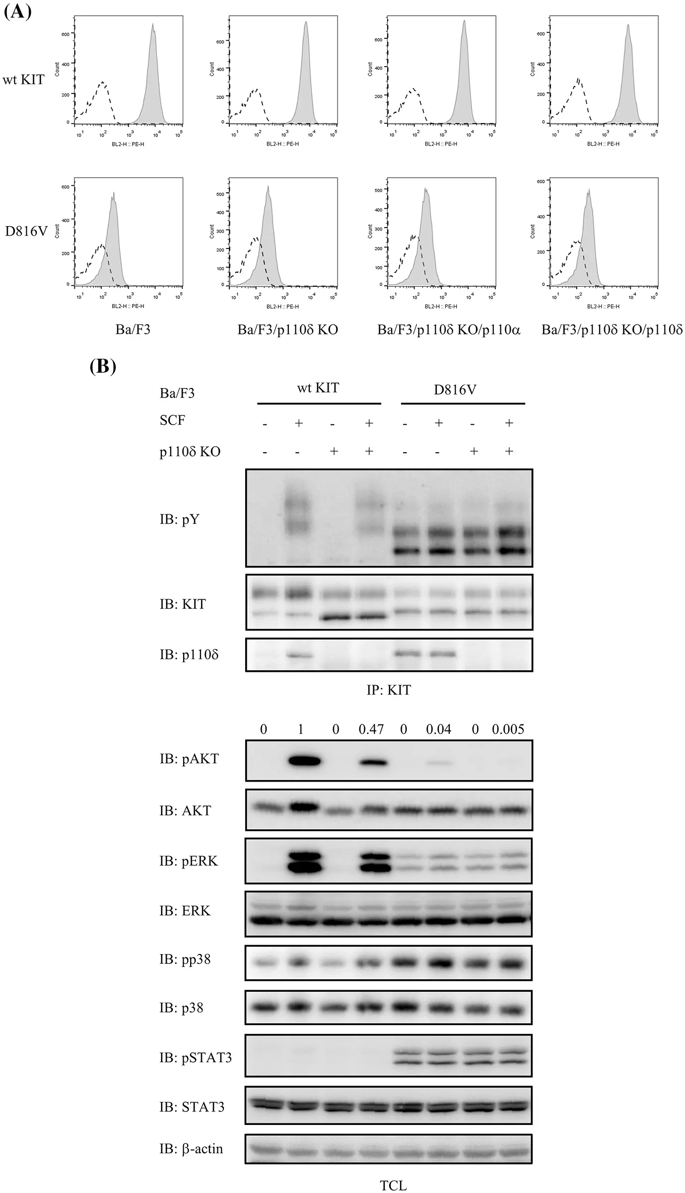 PI3 kinase isoform p110δ is more important than p110α in KIT signaling ...