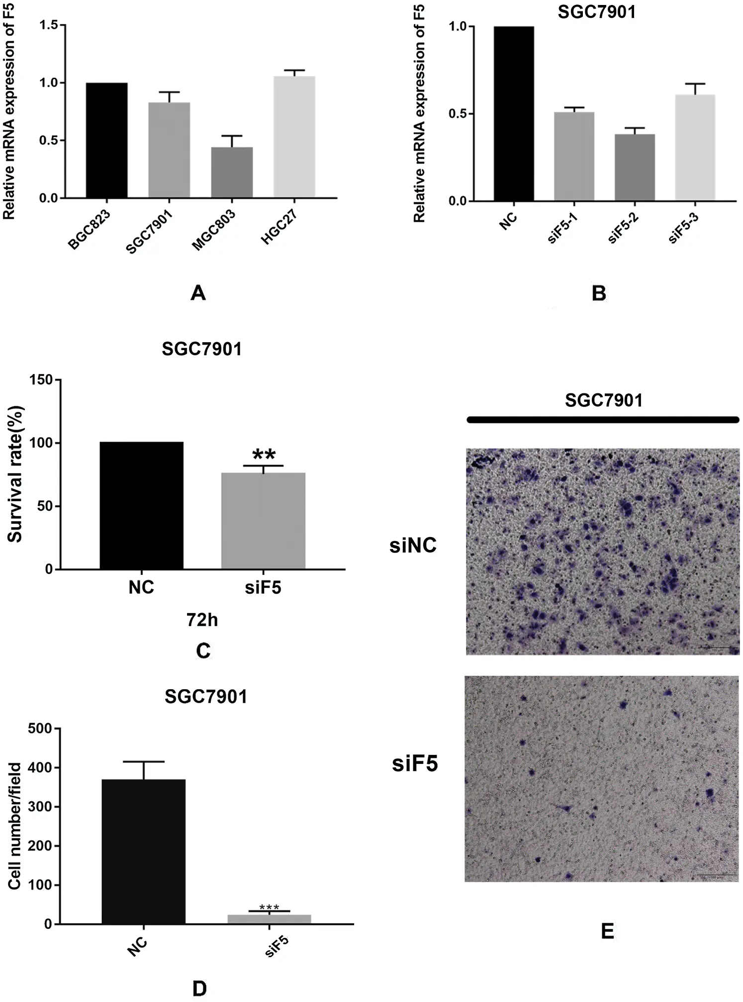 The F5 gene predicts poor prognosis of patients with gastric cancer by ...