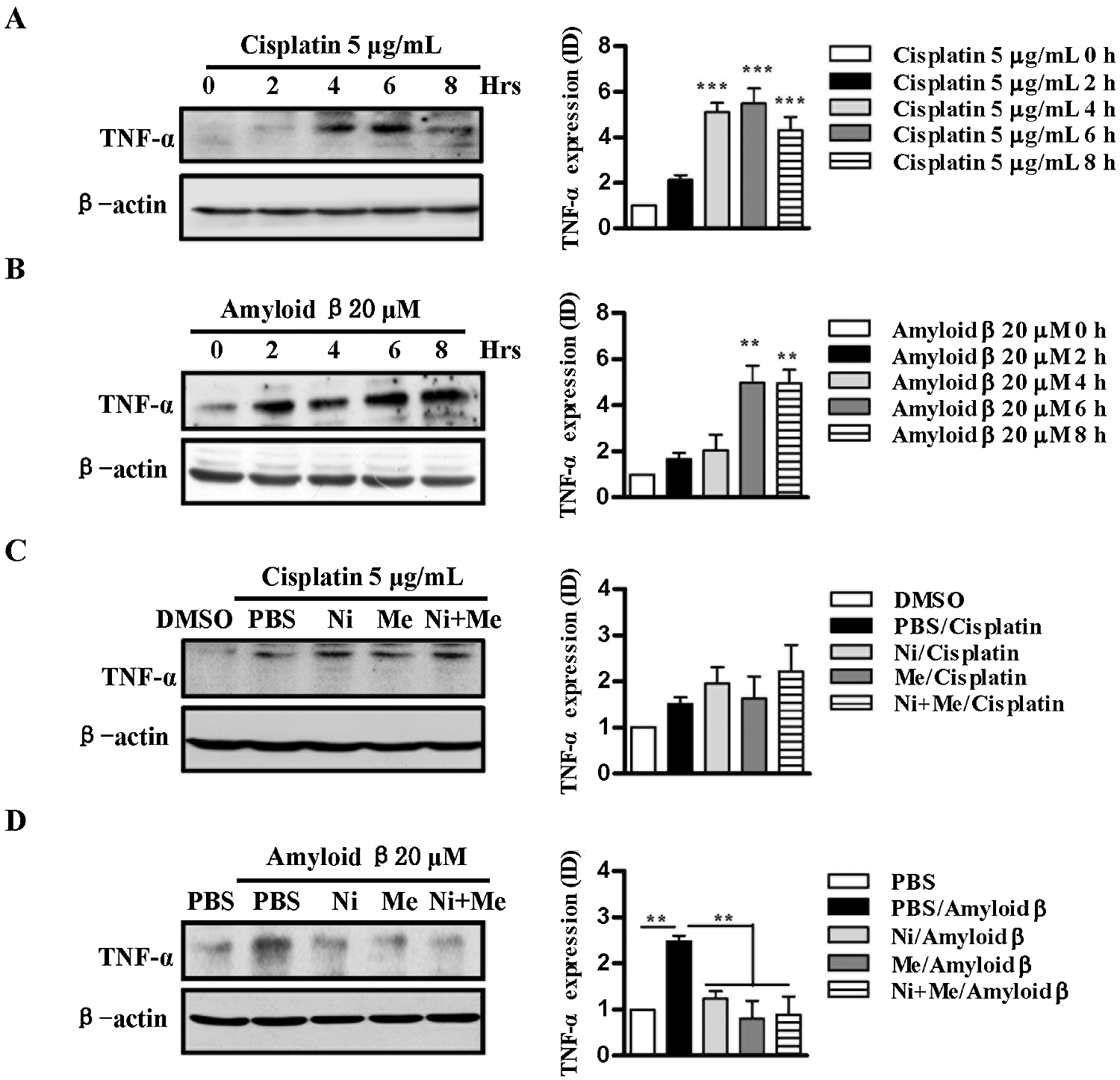 Nicotine and menthol independently exert neuroprotective effects ...