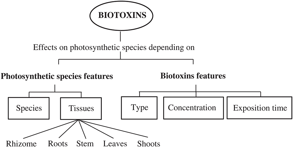 Oxidative metabolism of photosynthetic species and the exposure to some ...