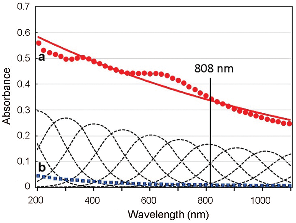 Biomedical overview of melanin. 1. Updating melanin biology and ...