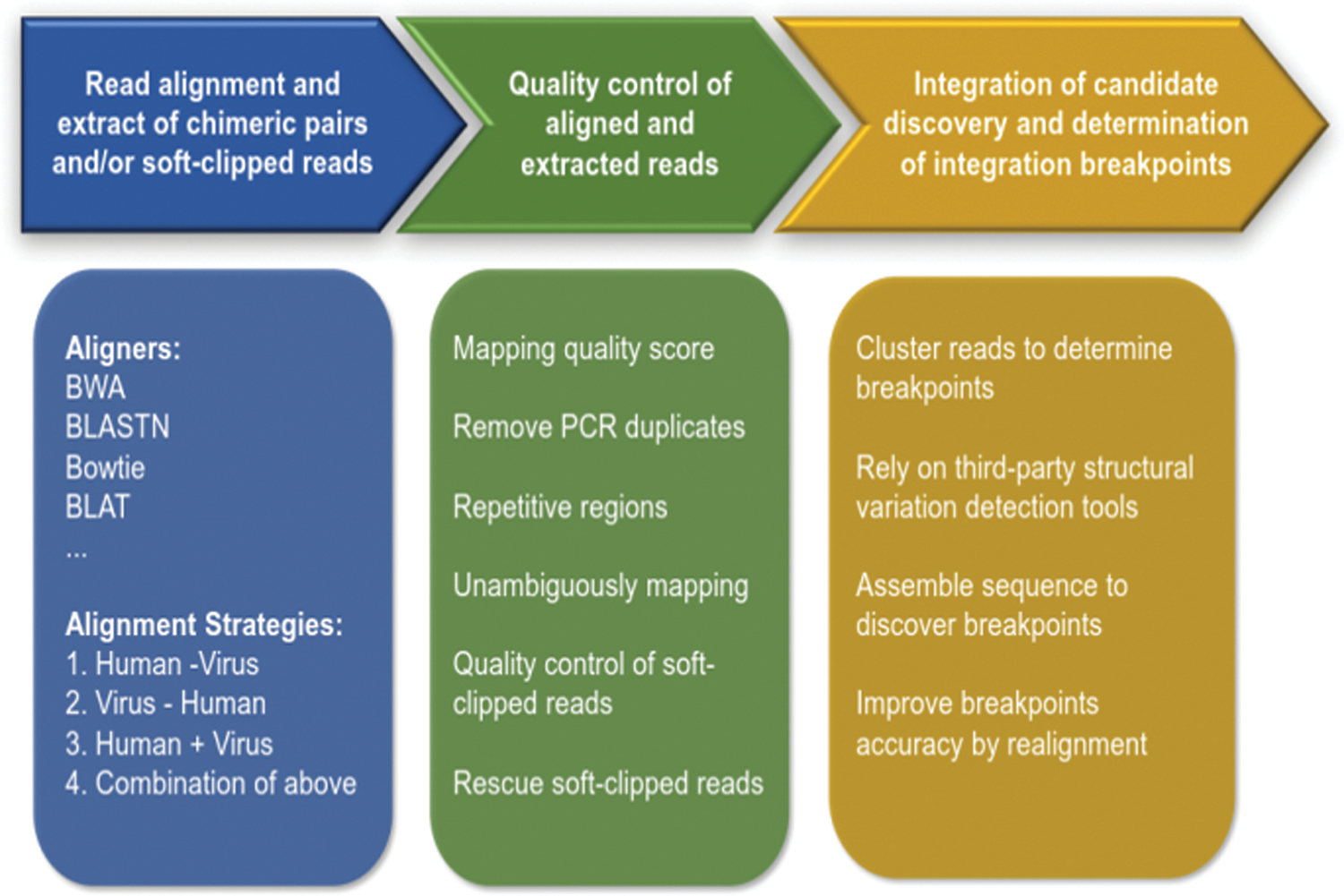 Viral integration detection strategies and a technical update on Virus-Clip