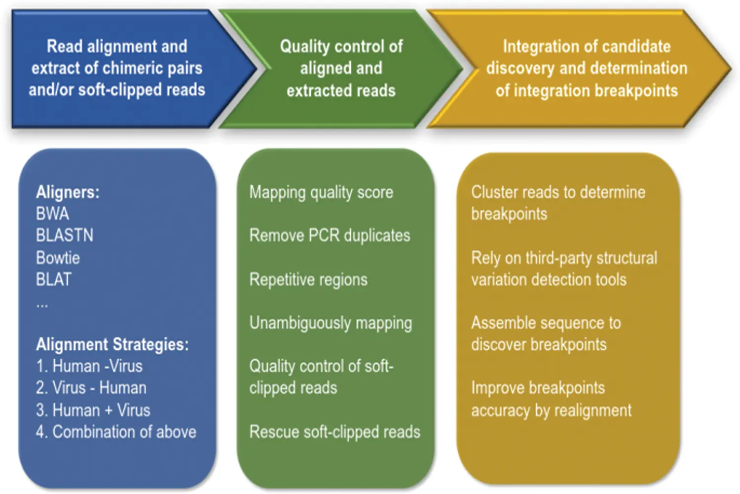 Viral integration detection strategies and a technical update on Virus-Clip