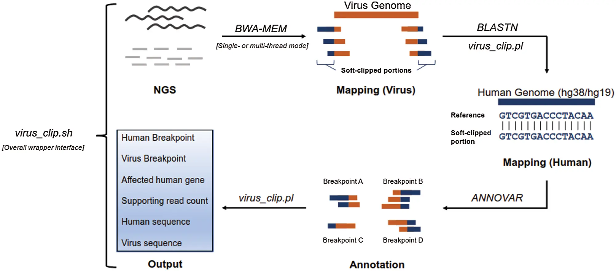 Viral integration detection strategies and a technical update on Virus-Clip