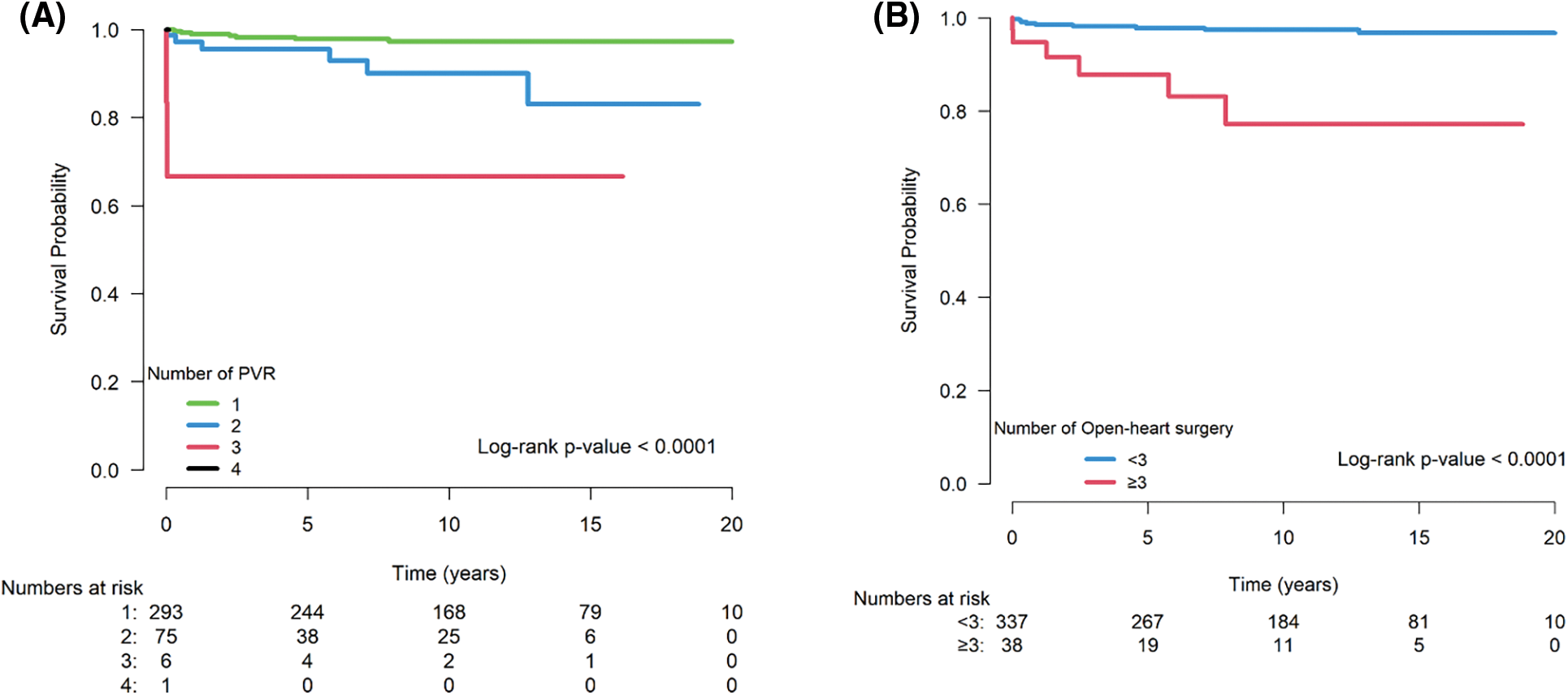 Long-Term Outcome and Risk Factor Analysis of Surgical Pulmonary Valve ...