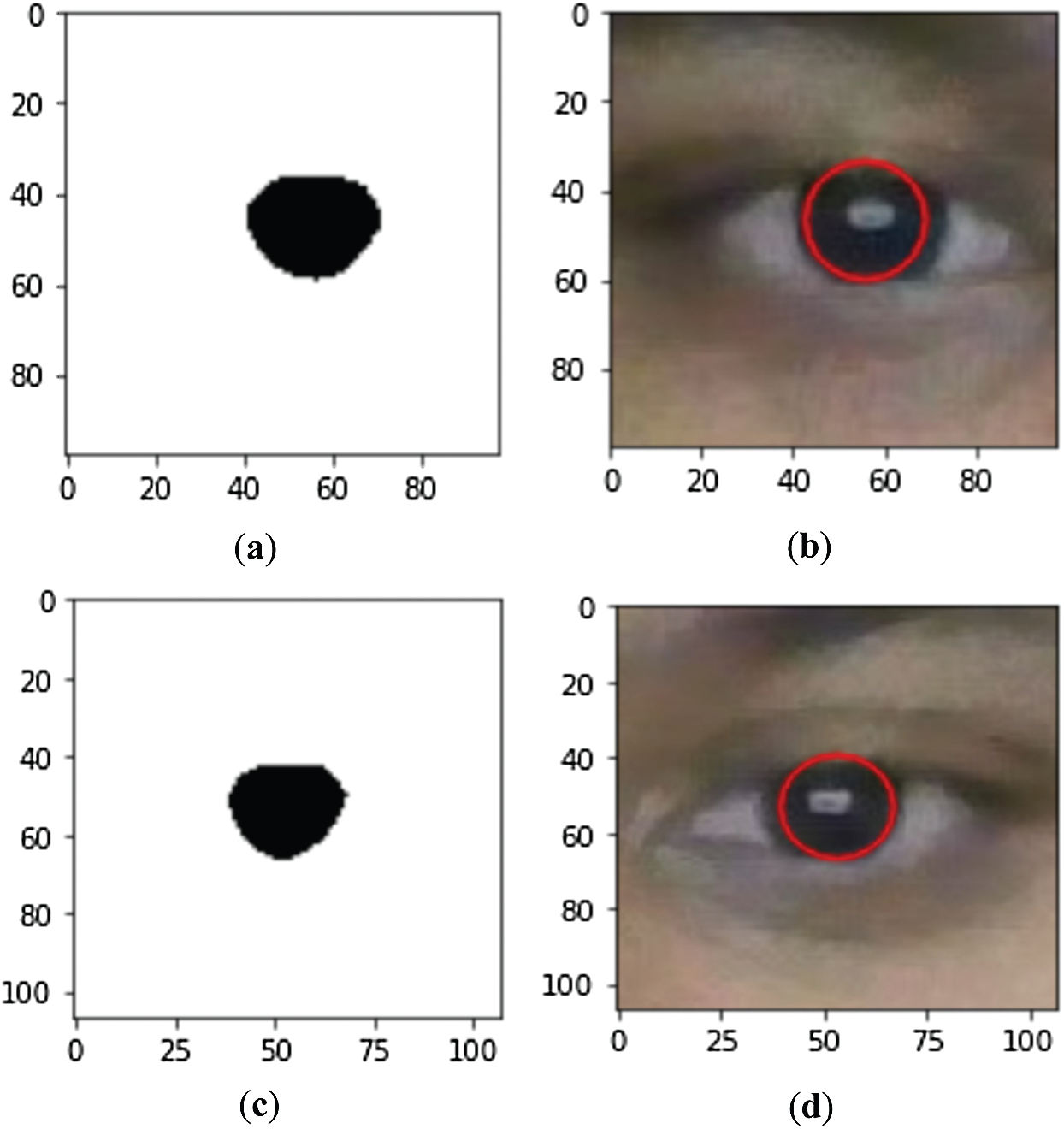 Eye Gaze Detection Based on Computational Visual Perception and Facial ...