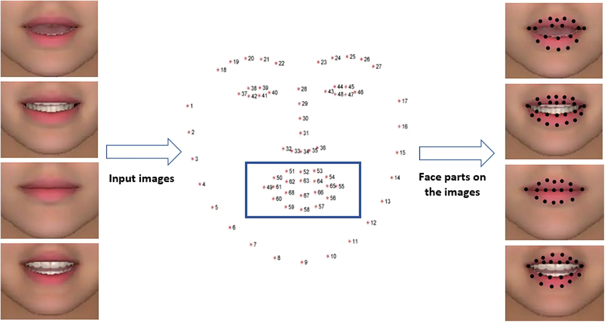 HLR-Net: A Hybrid Lip-Reading Model Based on Deep Convolutional Neural ...