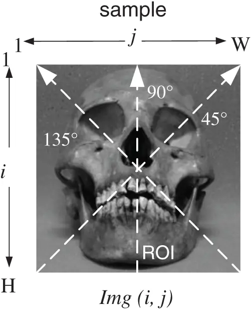Digital Forensics for Skulls Classification in Physical Anthropology ...