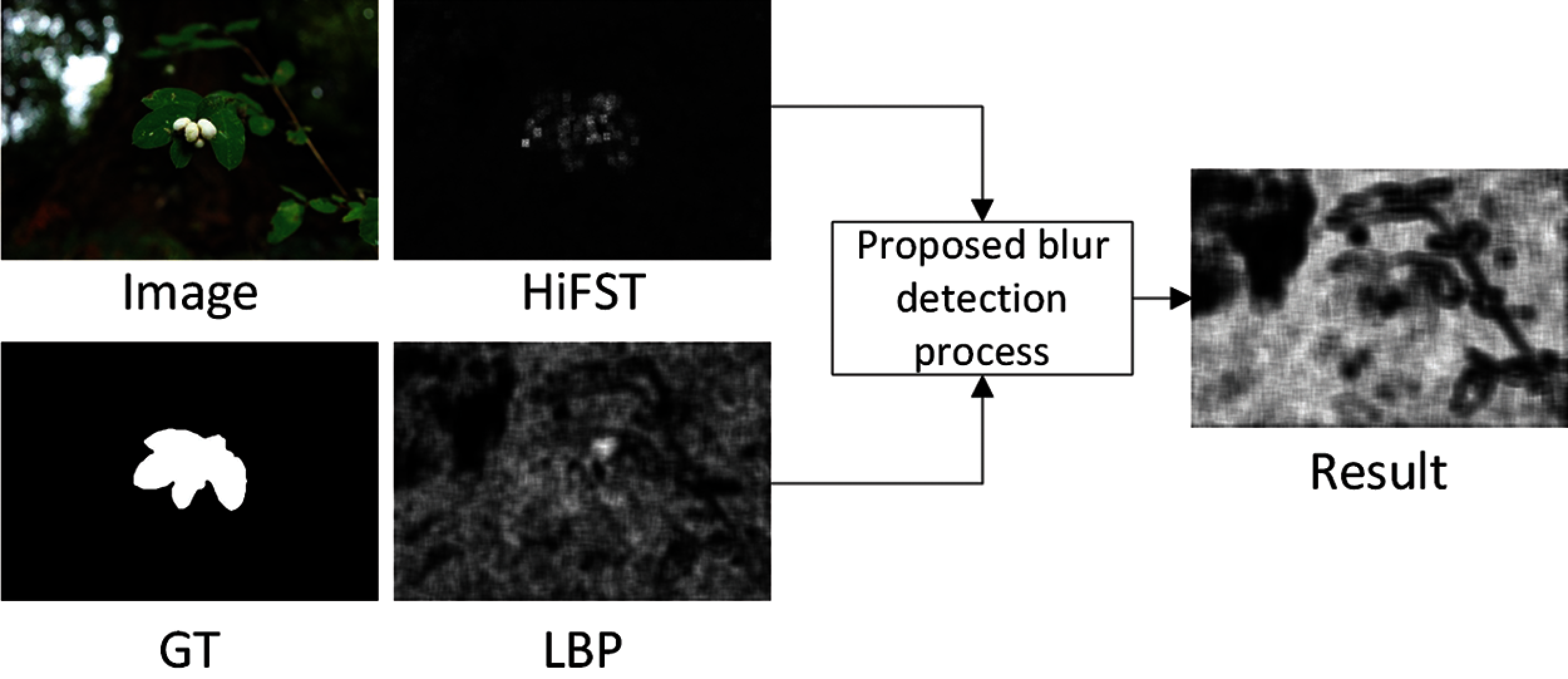 Defocus Blur Segmentation Using Genetic Programming and Adaptive Threshold