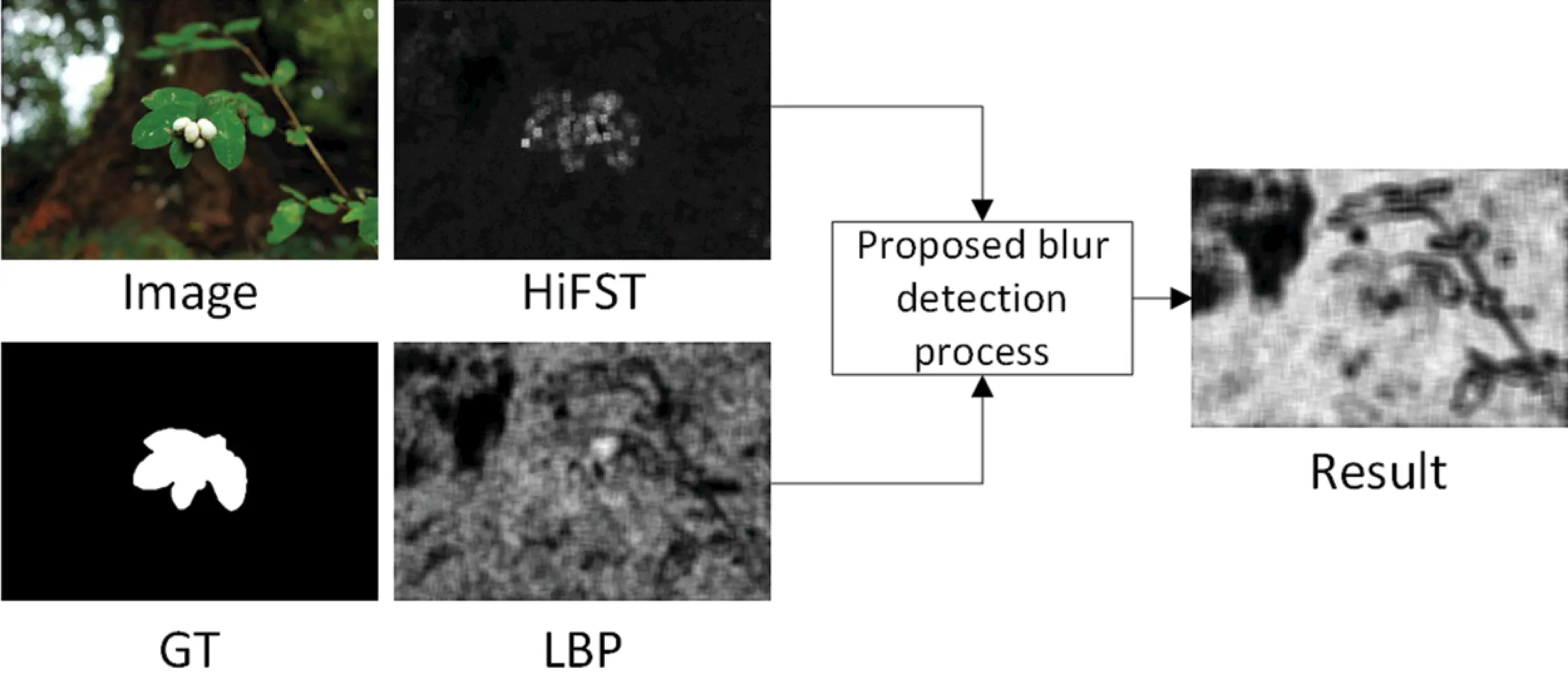 Defocus Blur Segmentation Using Genetic Programming and Adaptive Threshold