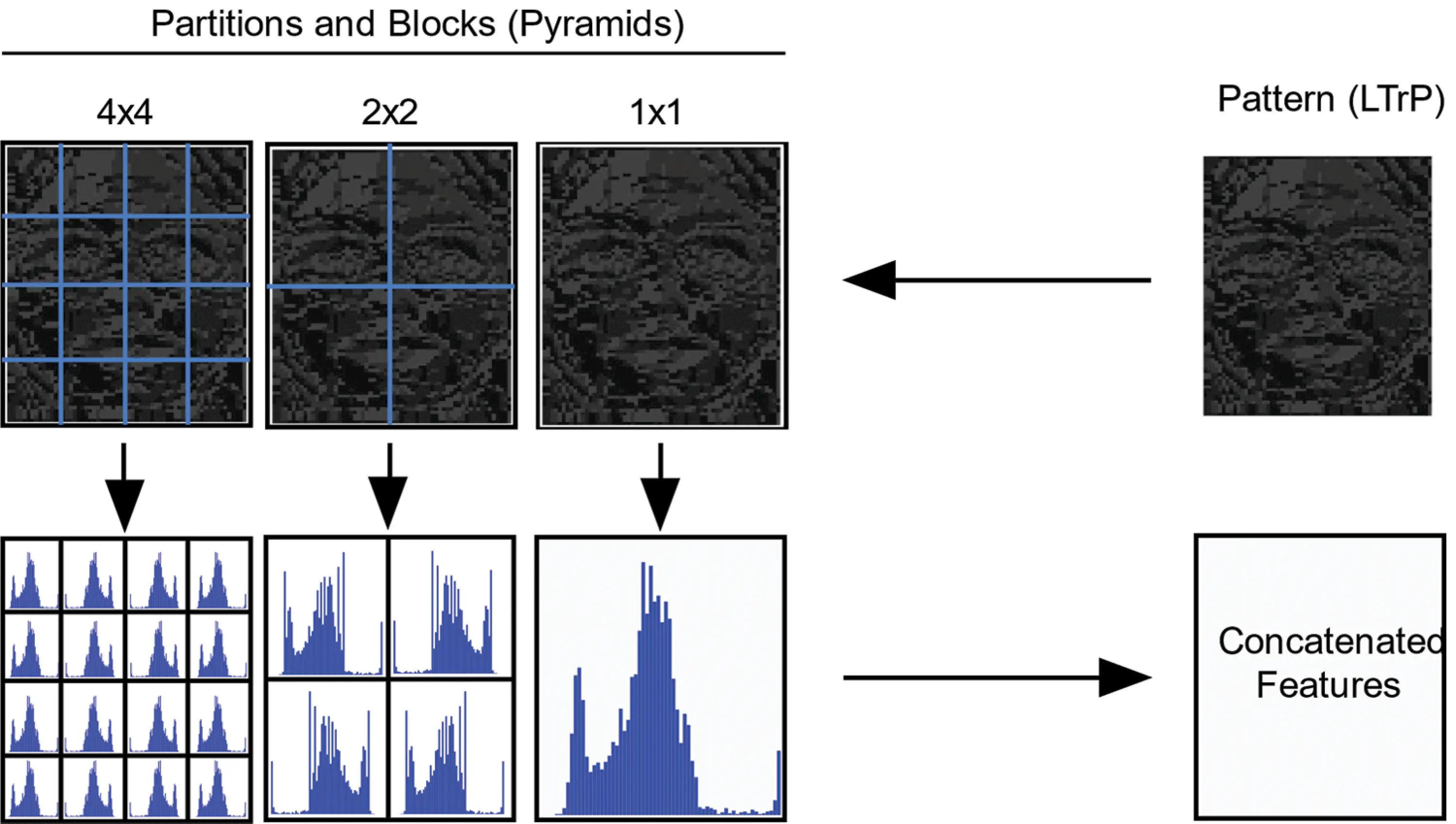 Local-Tetra-Patterns for Face Recognition Encoded on Spatial Pyramid Matching