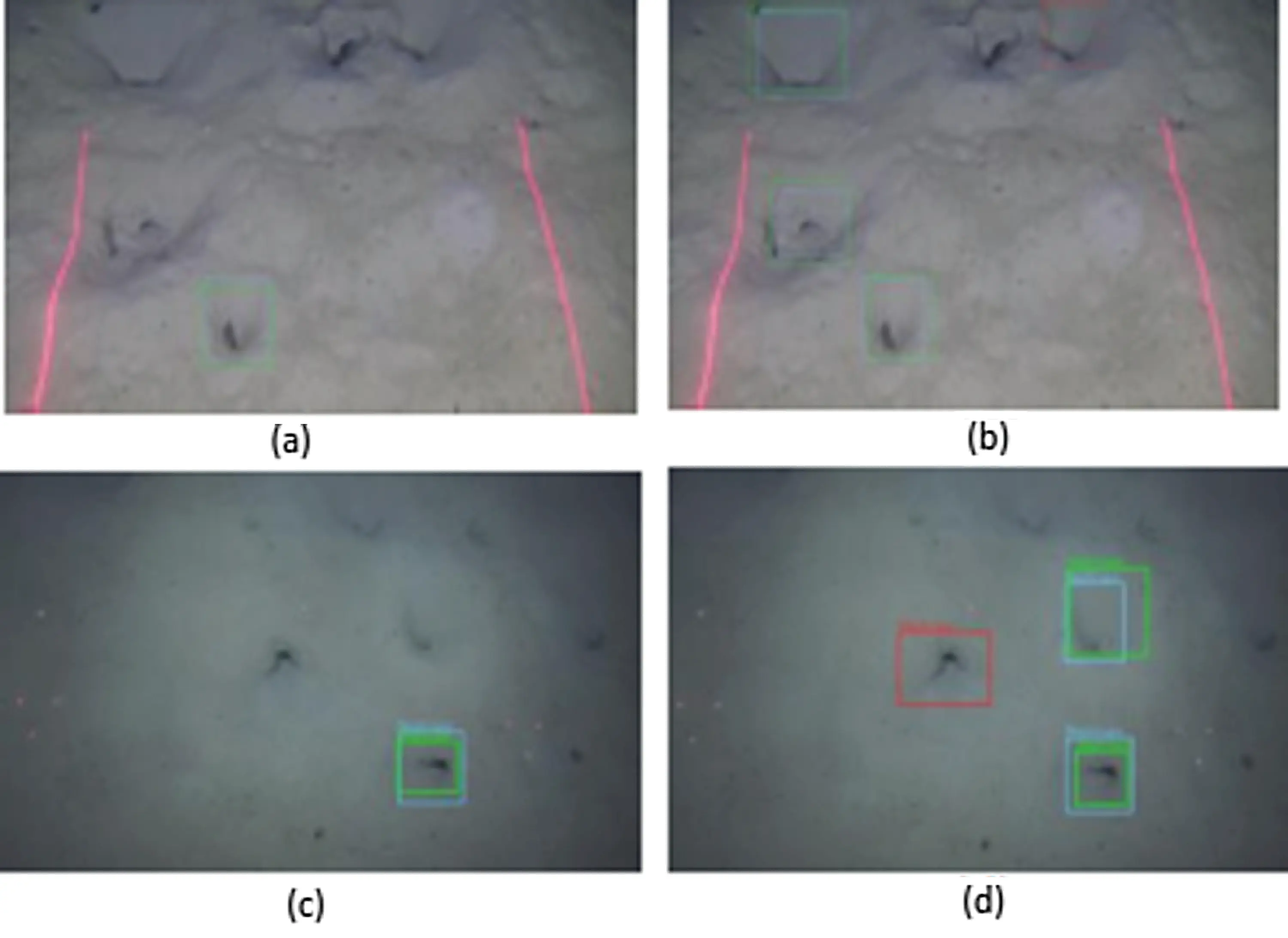 Automatic Detection of Nephrops Norvegicus Burrows from Underwater ...
