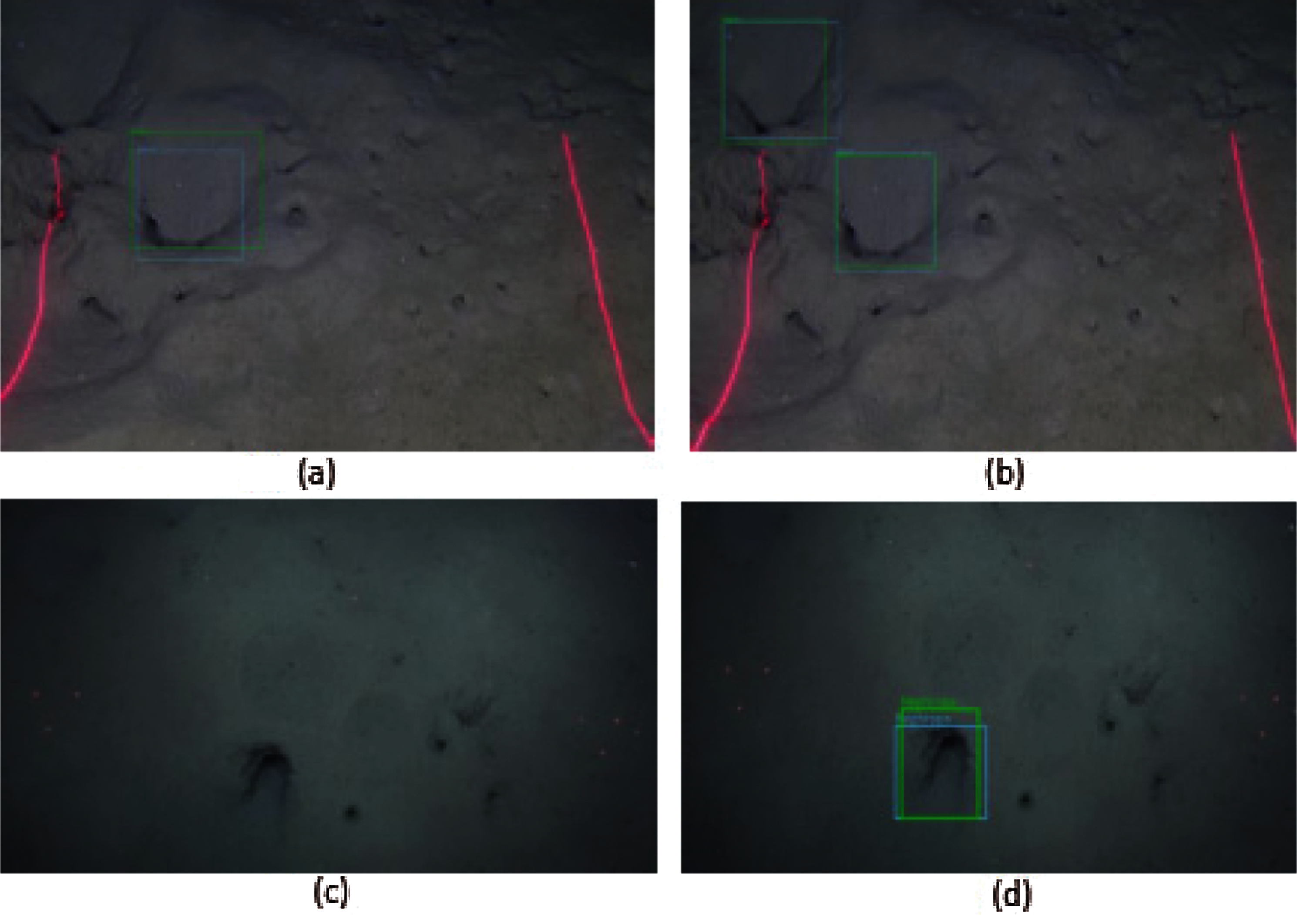 Automatic Detection of Nephrops Norvegicus Burrows from Underwater ...